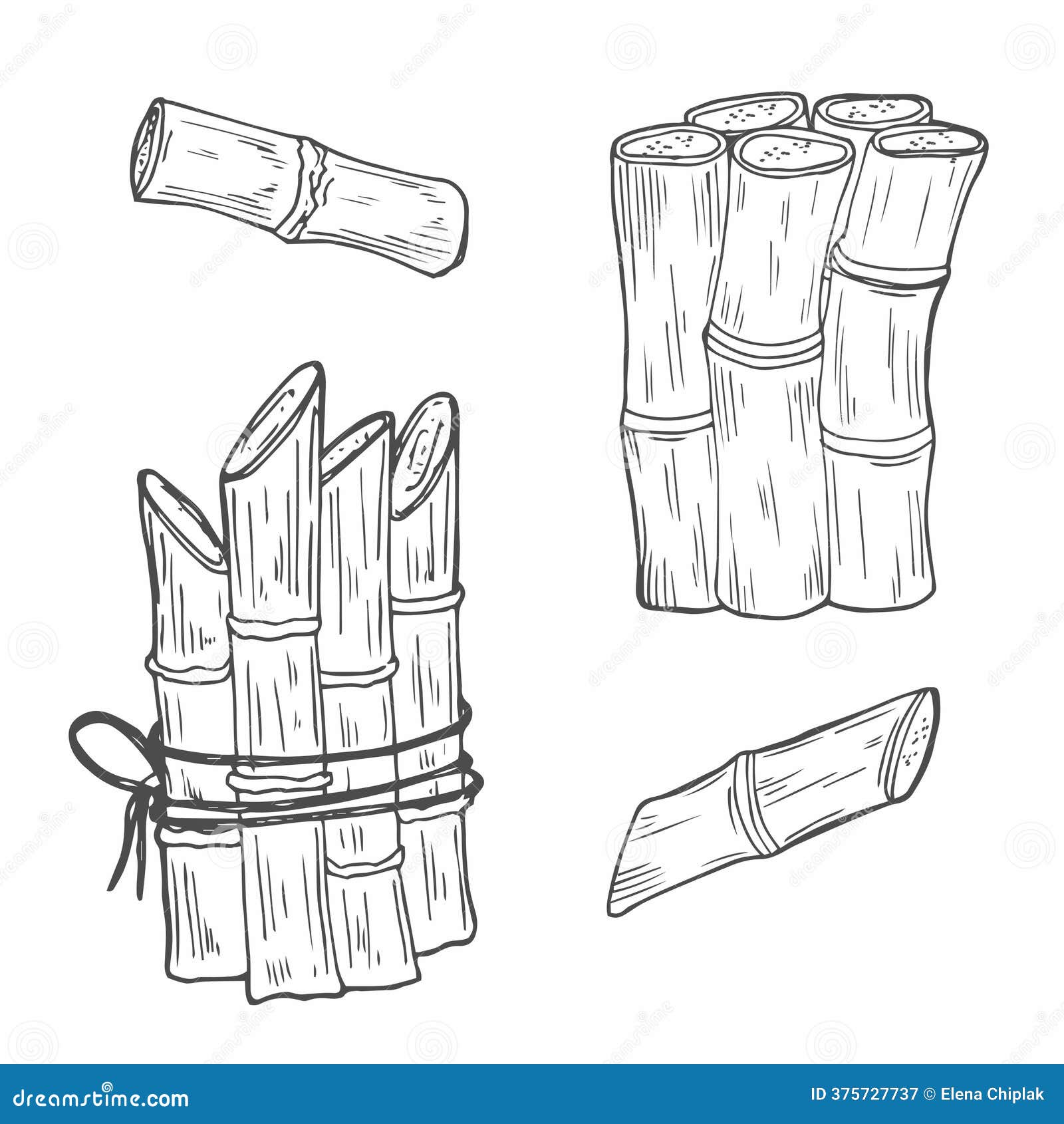 Cane Stems And Seeds Compostion, Ornamental Cane Element Of Ancient ...