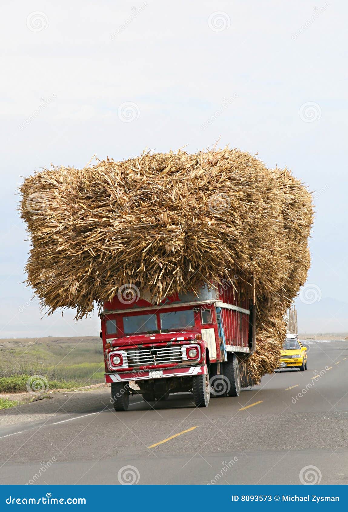 Sugar Cane Transport stock image. Image of cane, dangerous - 8093573