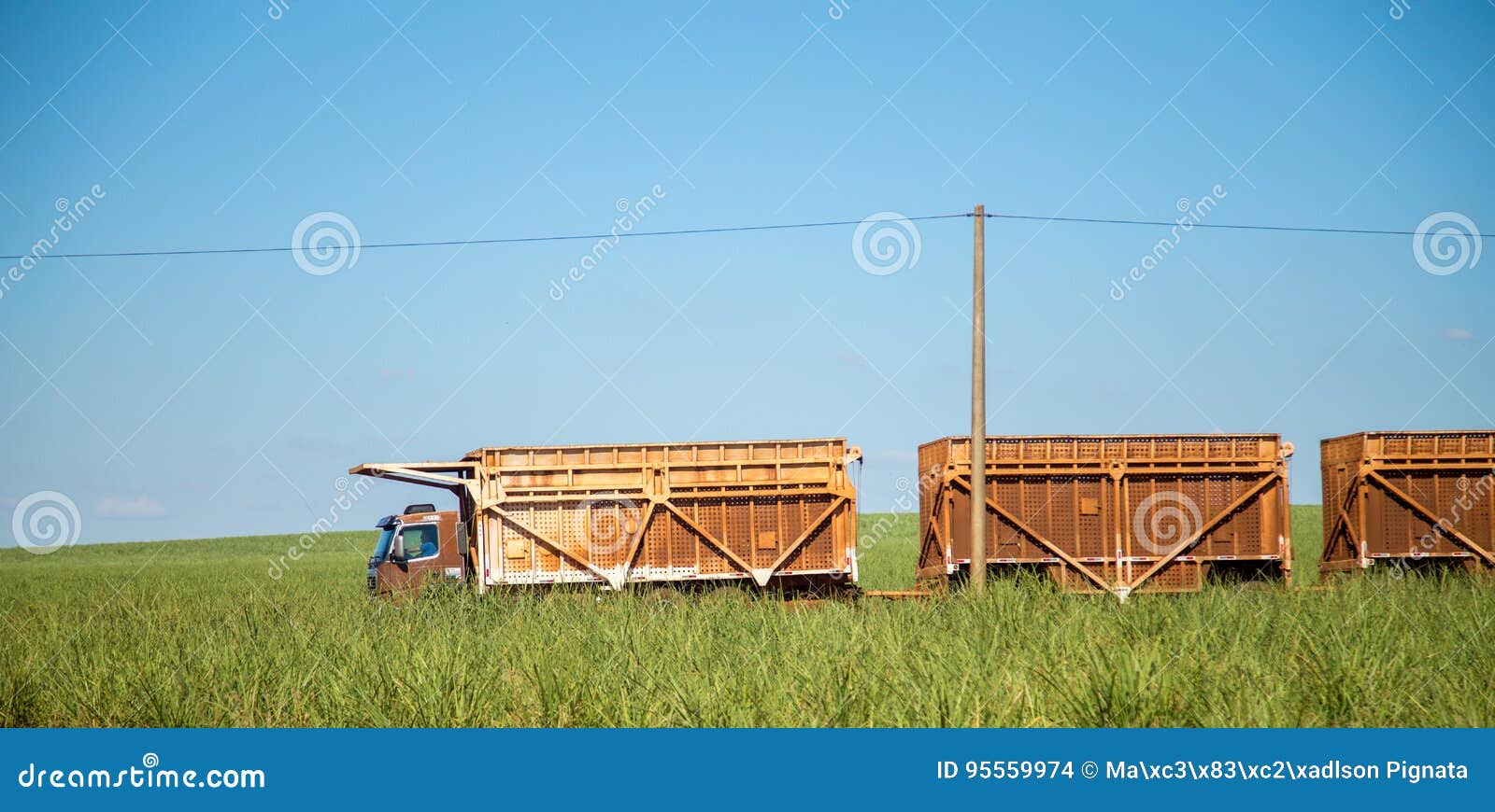 Sugar cane transporter stock photo. Image of industrial - 95559974