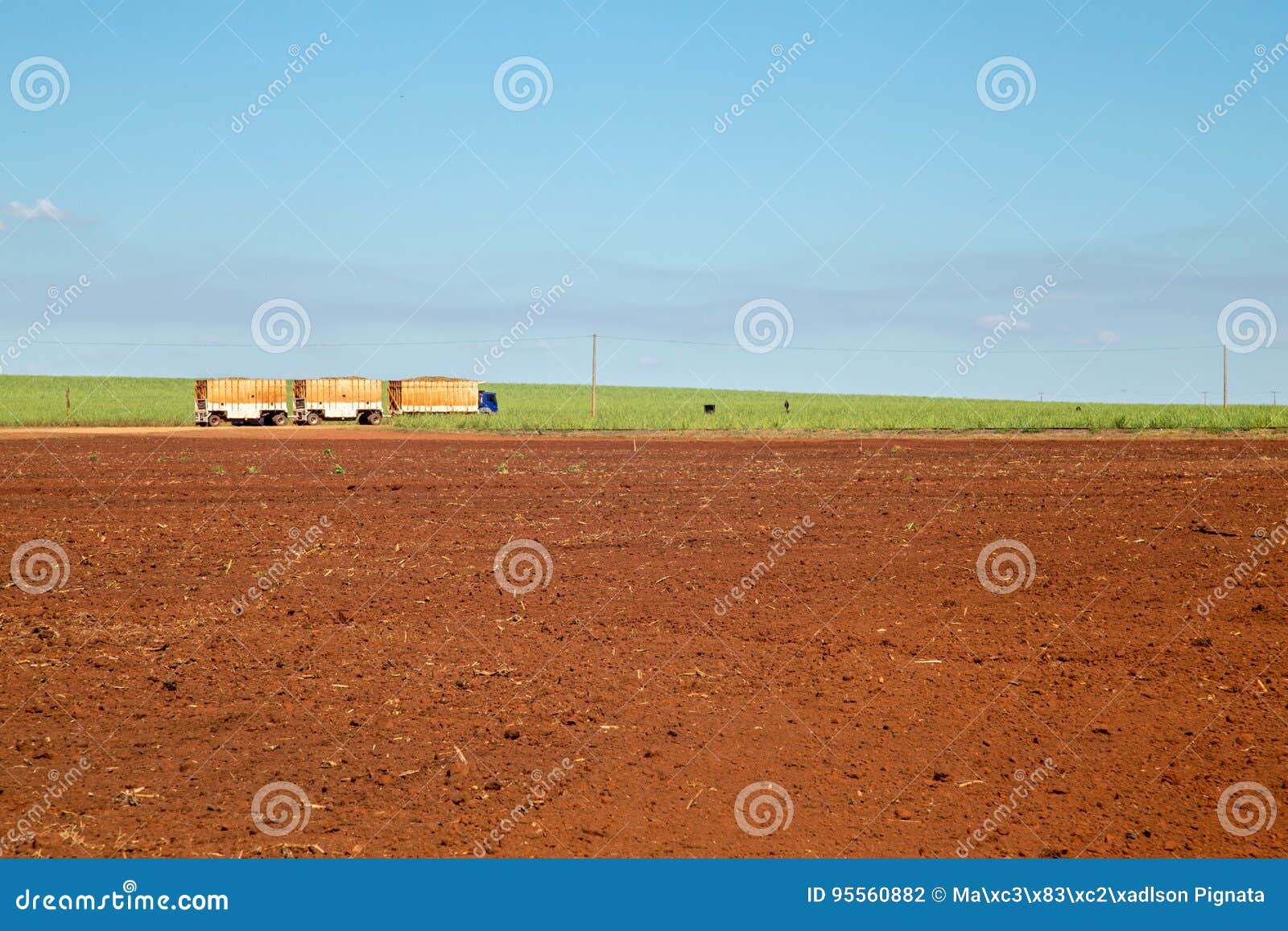 Sugar cane transporter stock photo. Image of industrial - 95560882