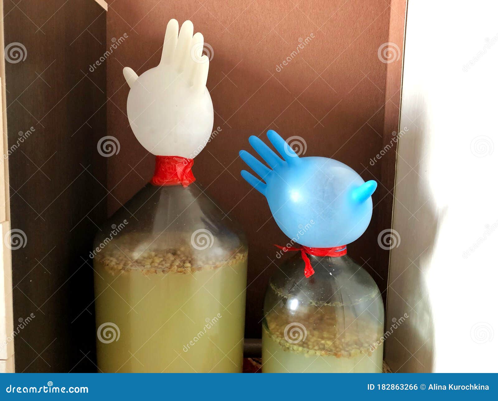 Sugar Fermentation Device for the Purpose of Alcohol Production Stock ...