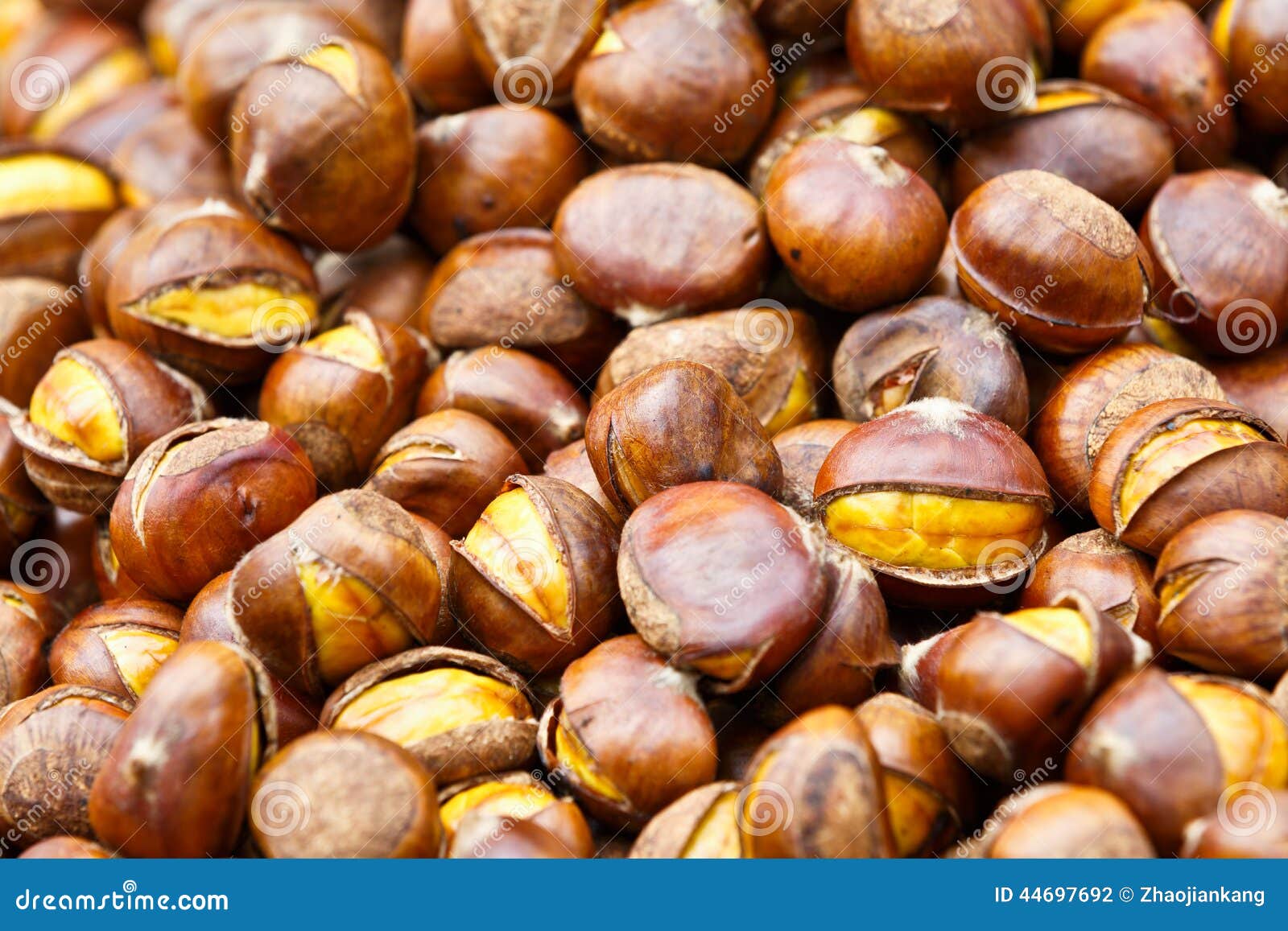Chinese Chestnut Royalty-Free Stock Photo | CartoonDealer.com #21371517