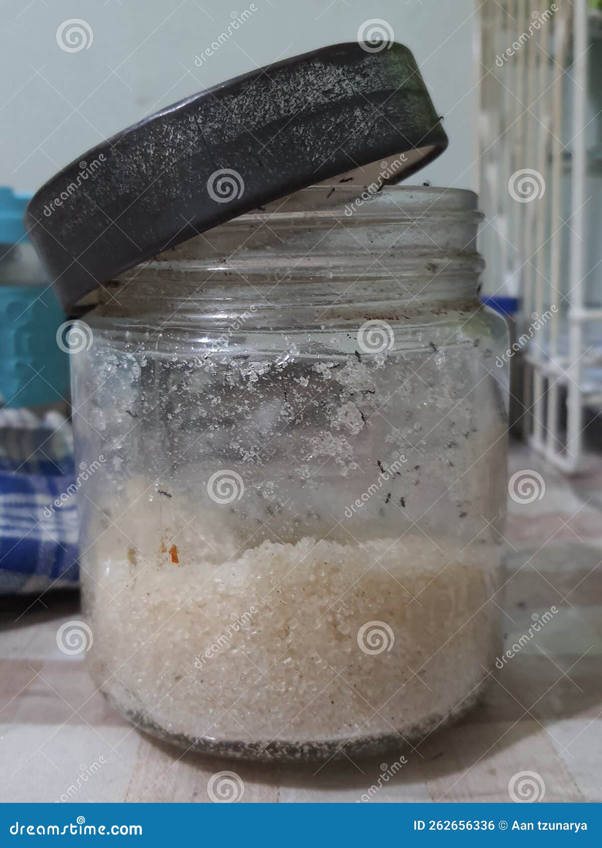 Sugar in a Jar with Lots of Ants Inside Stock Photo - Image of inside ...