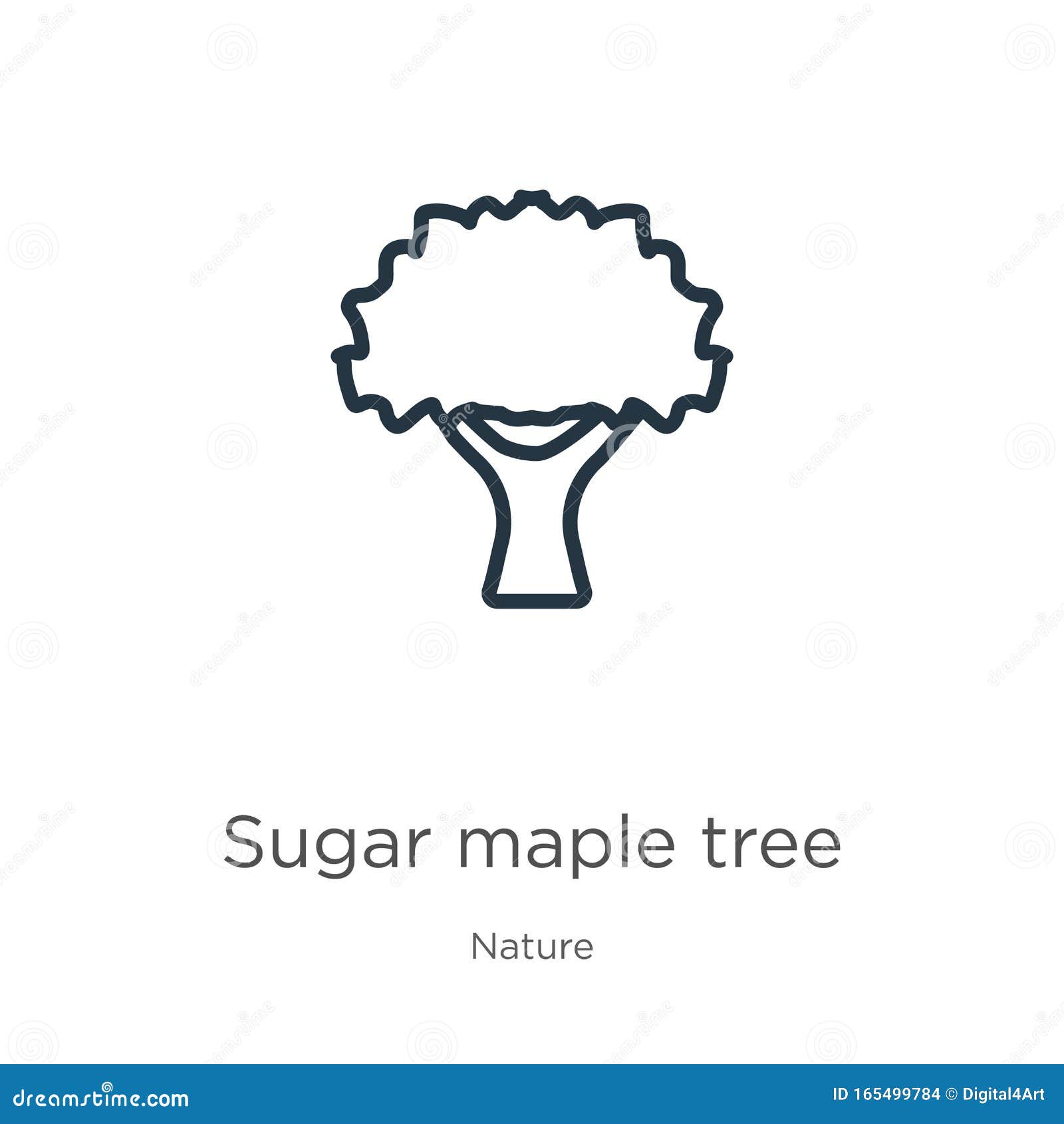 Sugar Maple Tree Icon. Thin Linear Sugar Maple Tree Outline Icon ...