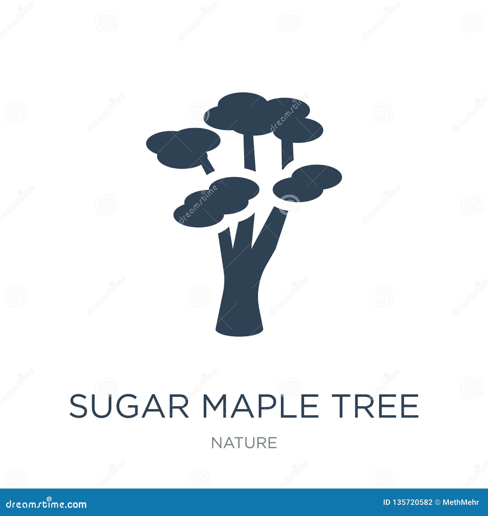 Sugar Maple Tree Icon in Trendy Design Style. Sugar Maple Tree Icon ...