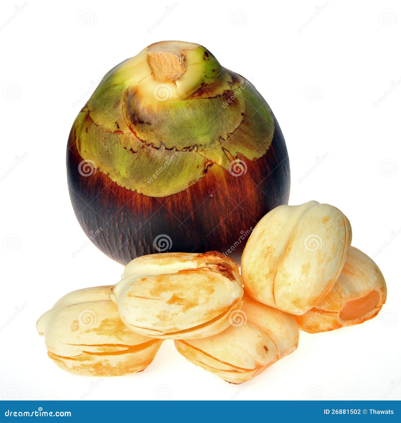 Sugar palm friut stock photo. Image of sweet, friut, flora - 26881502