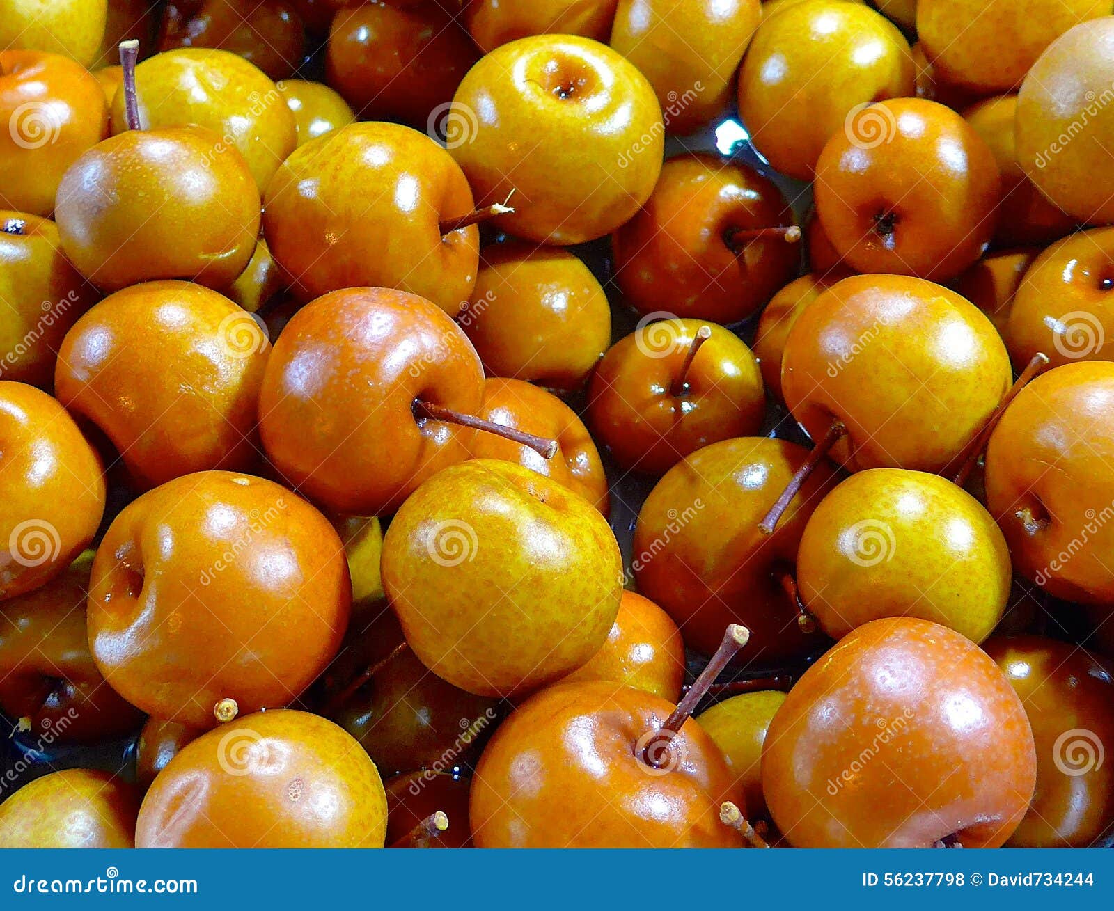 Sugar pear stock photo. Image of yellow, eating, taiwan - 56237798