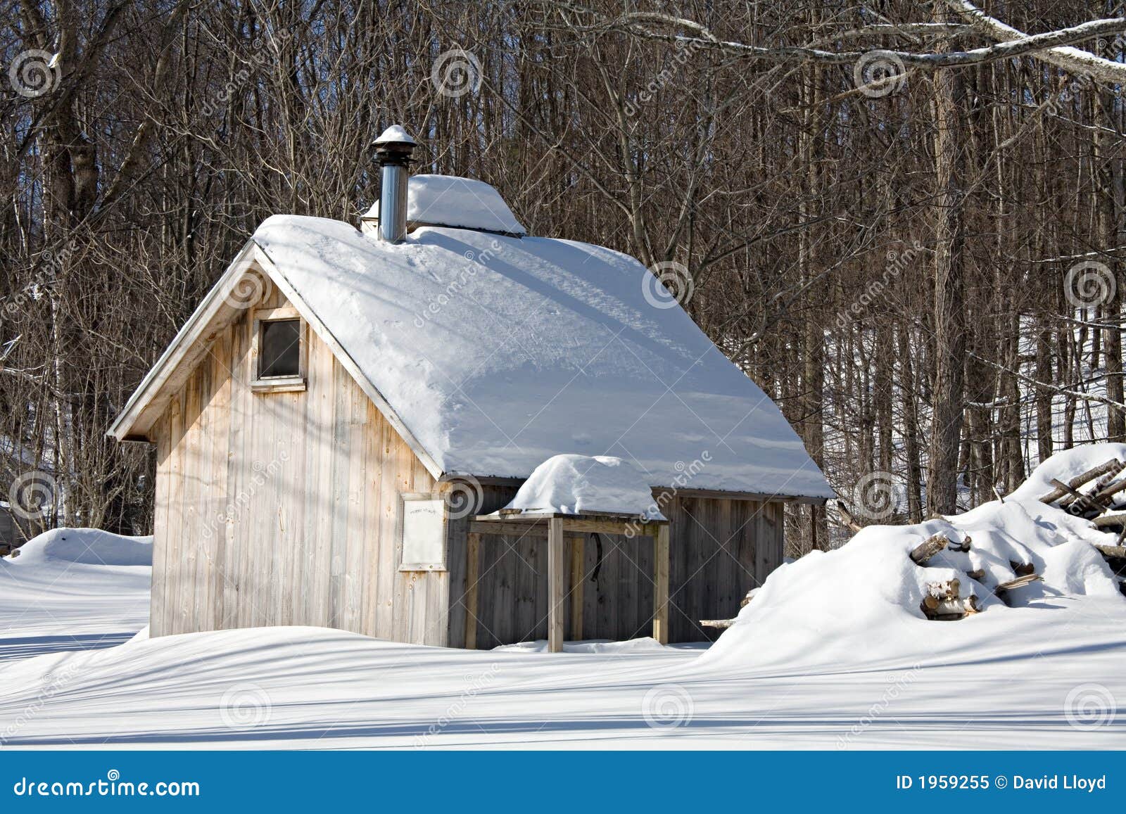 Sugar shack stock image. Image of winter, snowy, maple - 1959255