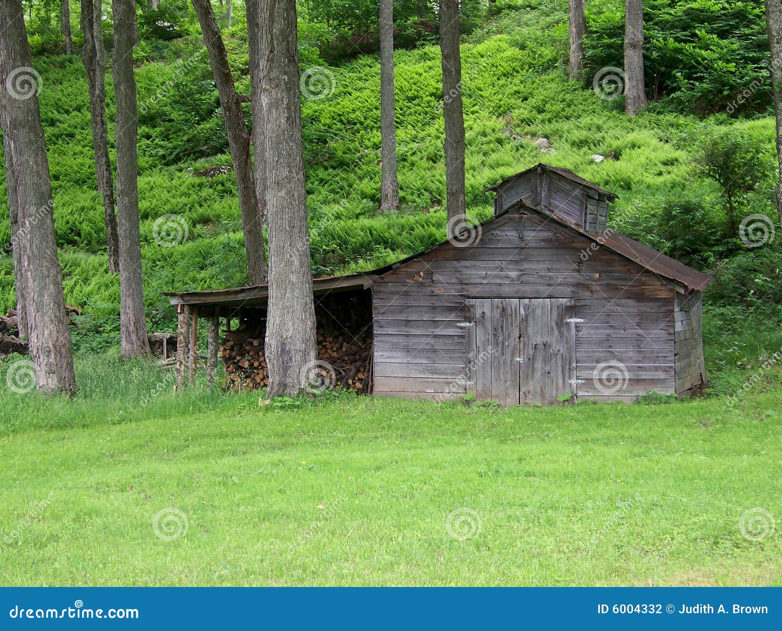 Sugar Shack 2 stock photo. Image of syrup, sugaring, sugar - 6004332