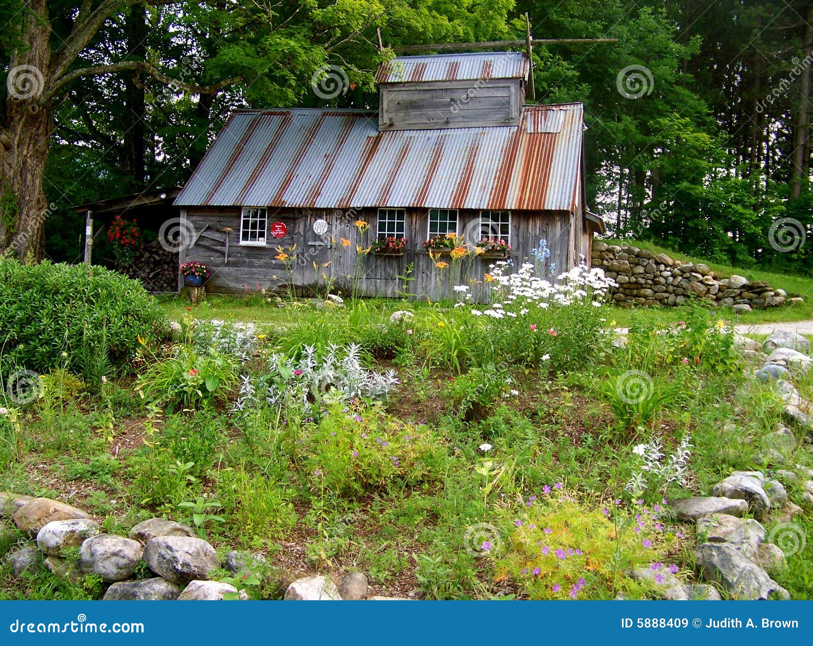 Sugar Shack stock image. Image of quaint, stone, blossoms - 5888409