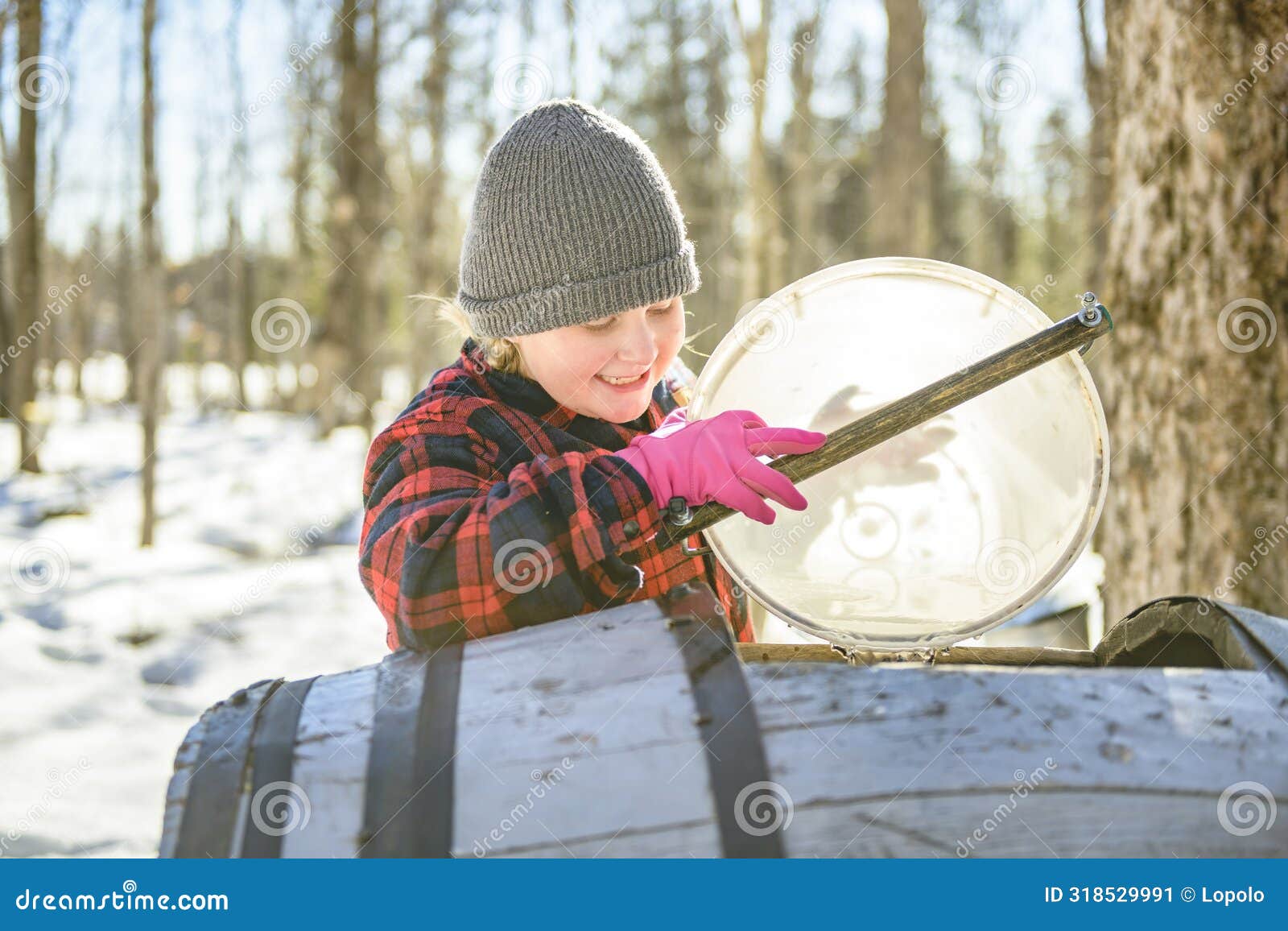 Sugar Shack, Child Having Fun at Mepla Shack Forest Collect Maple Water ...