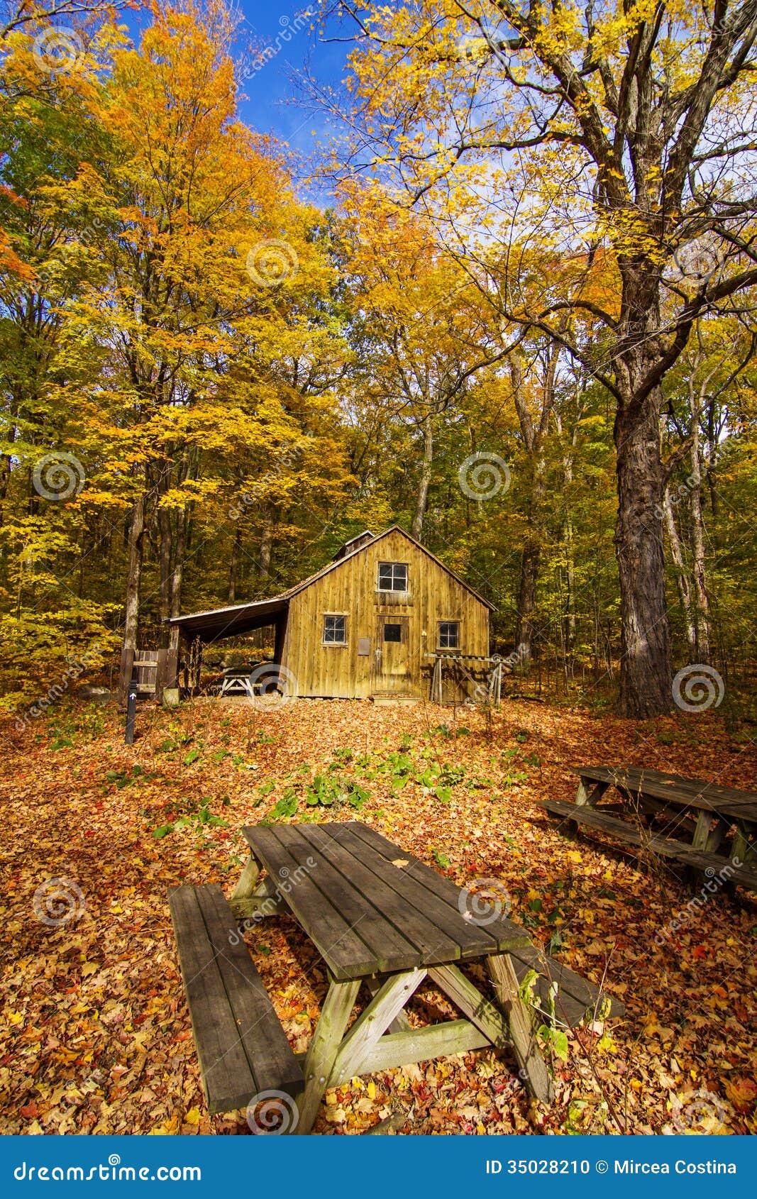 Sugar shack in fall stock photo. Image of sugar, maple - 35028210