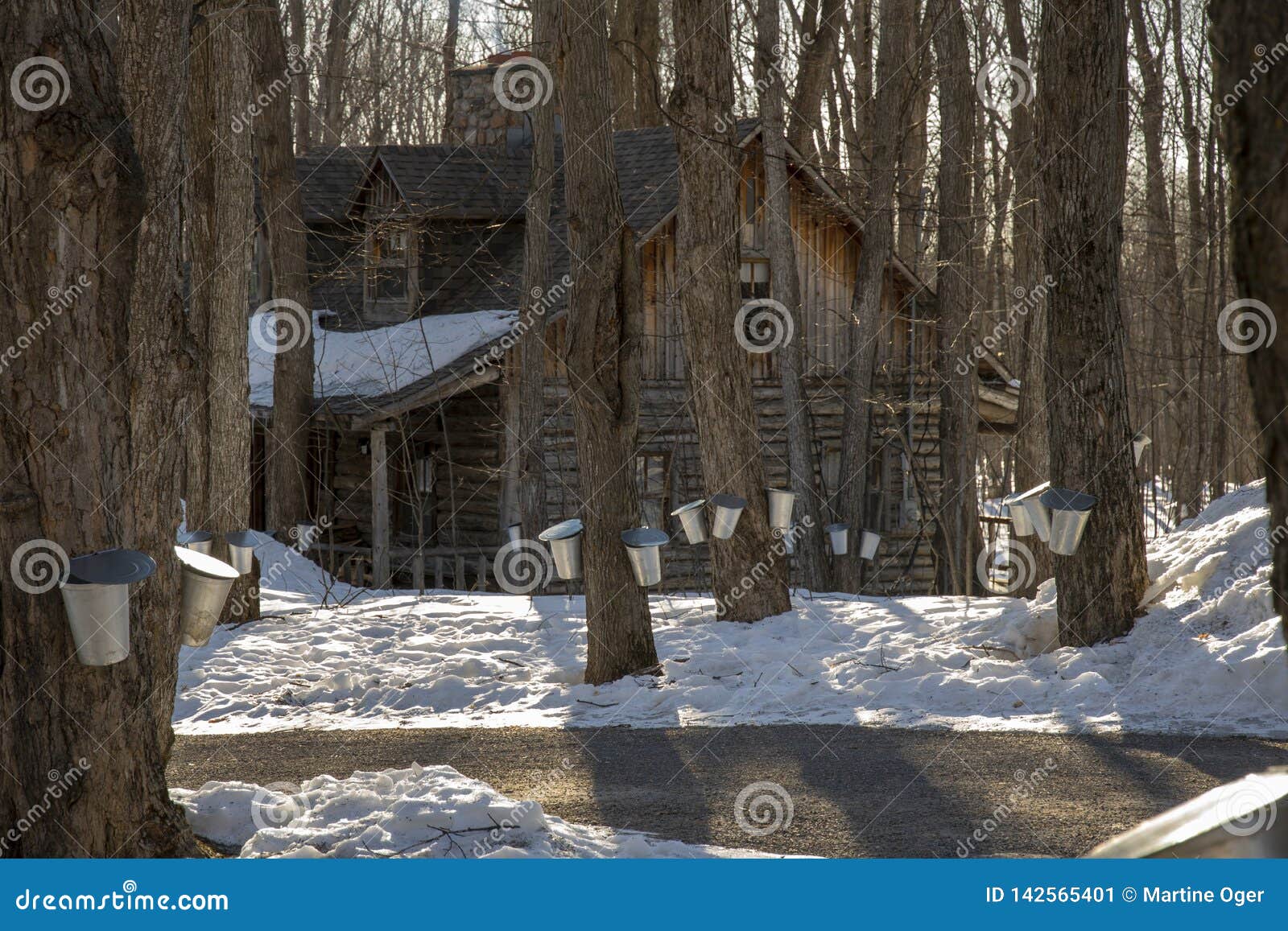 Sugar shack stock image. Image of cold, wooden, forest - 142565401