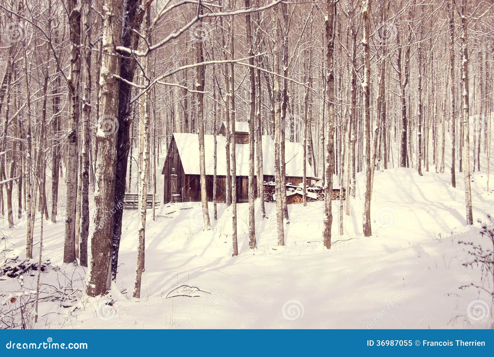 Sugar Shack in Snowy Forest Stock Image - Image of canada, culture ...