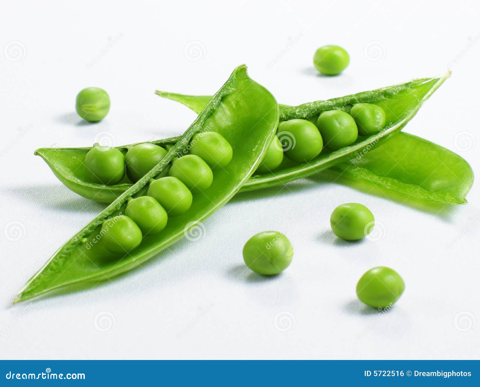 Sugar Snap Pea Pod stock photo. Image of sugar, peas, snap - 5722516