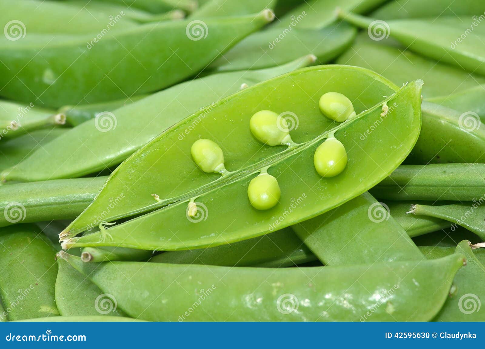 Sugar snap peans stock photo. Image of vitamins, nature - 42595630