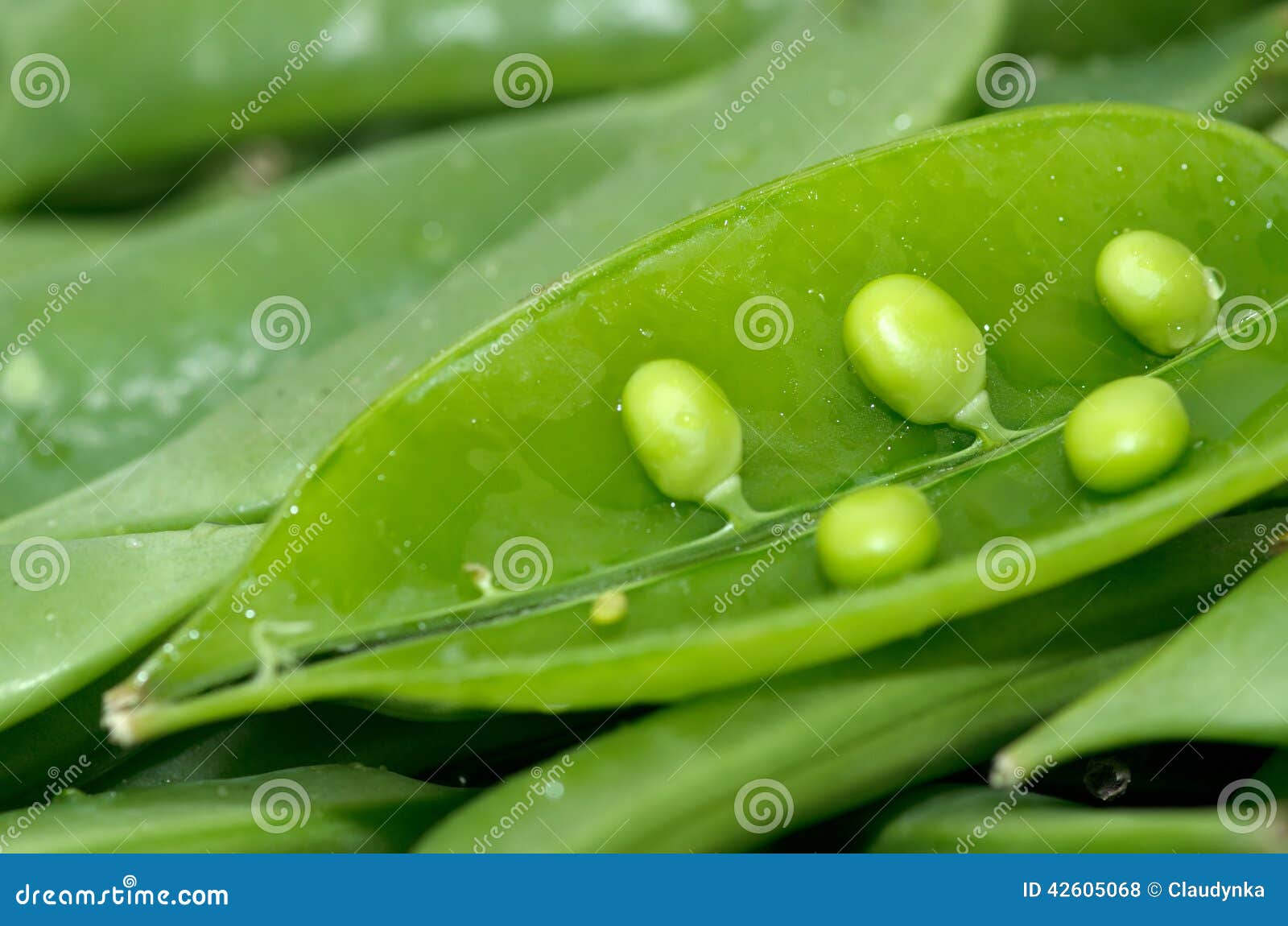 Sugar snap peans stock photo. Image of health, creeper - 42605068