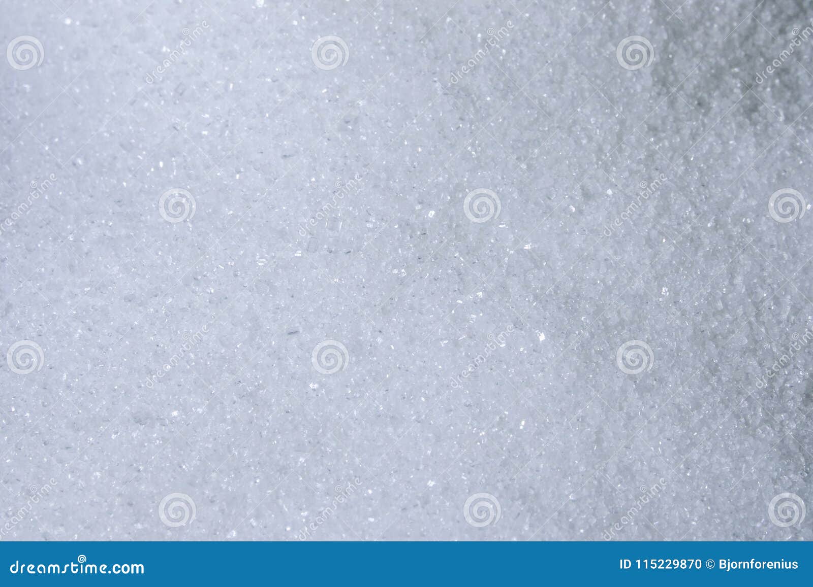 Texture Full Background View Opo Gourd Or Calabash Squash Seeds ...