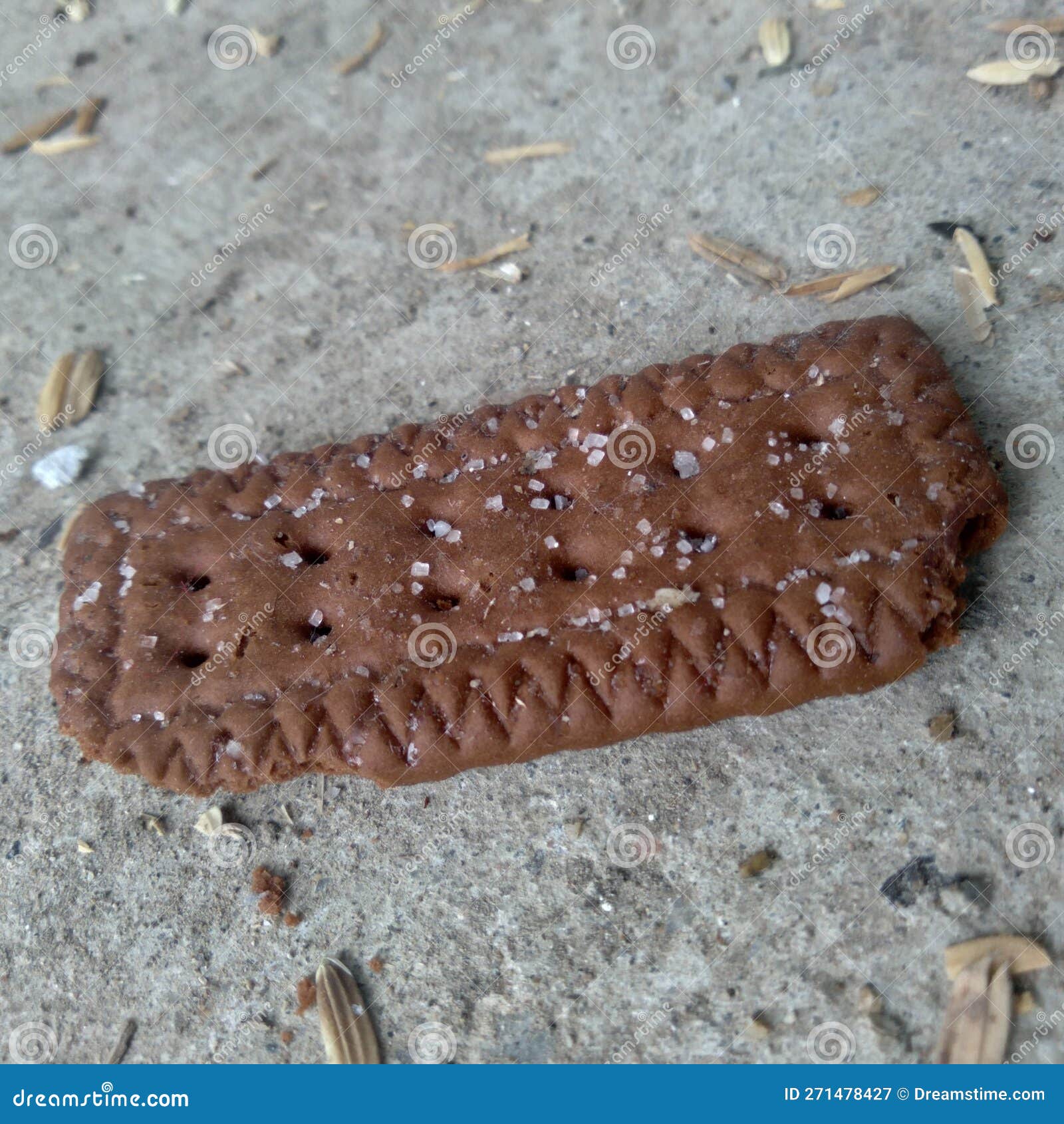 Sugar-topped Chocolate Biscuits Stock Image - Image of biscuits, coated ...