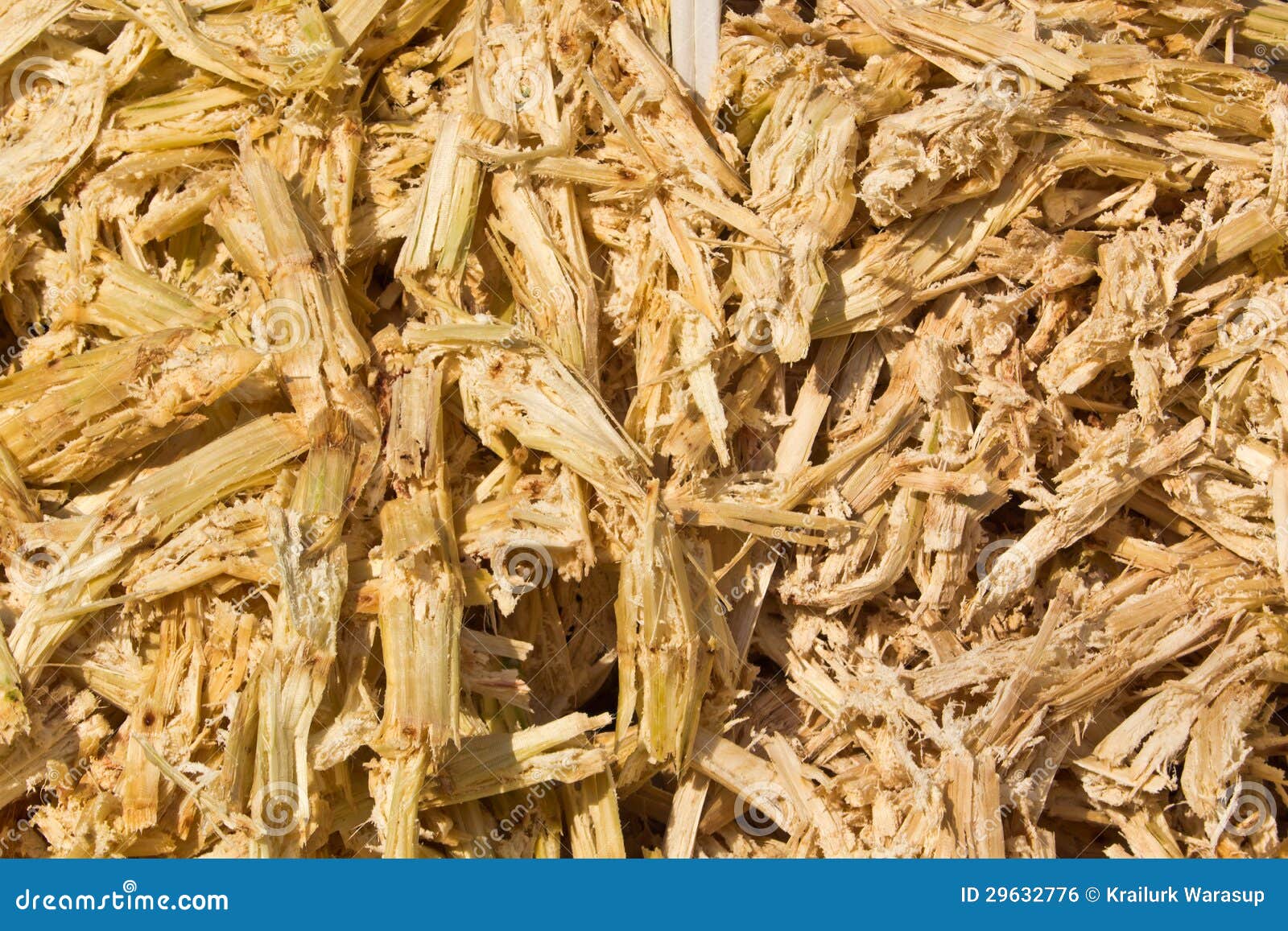 Sugarcane Bagasse Royalty Free Stock Image - Image: 29632776