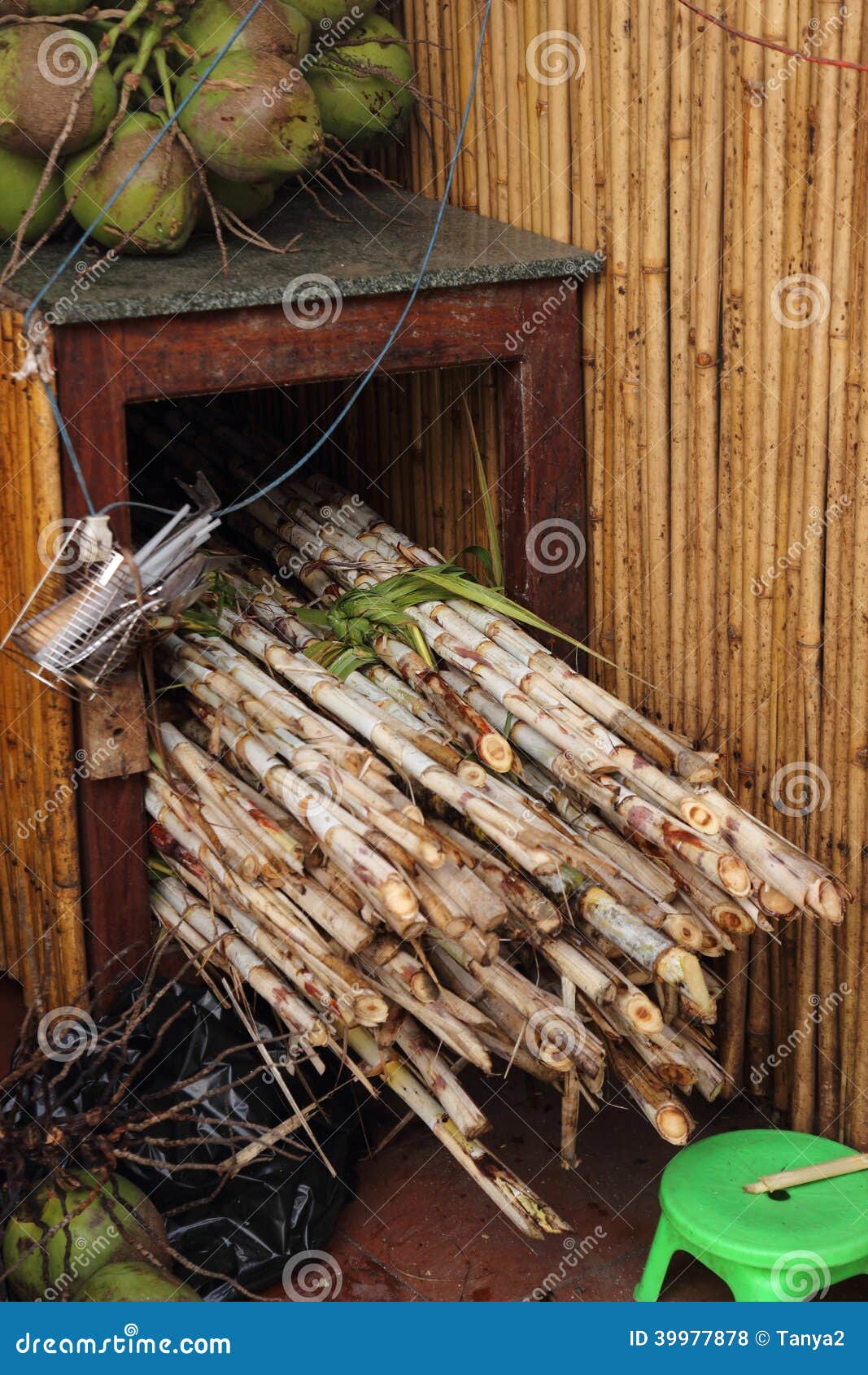 Sugarcane stock photo. Image of stick, long, store, market - 39977878