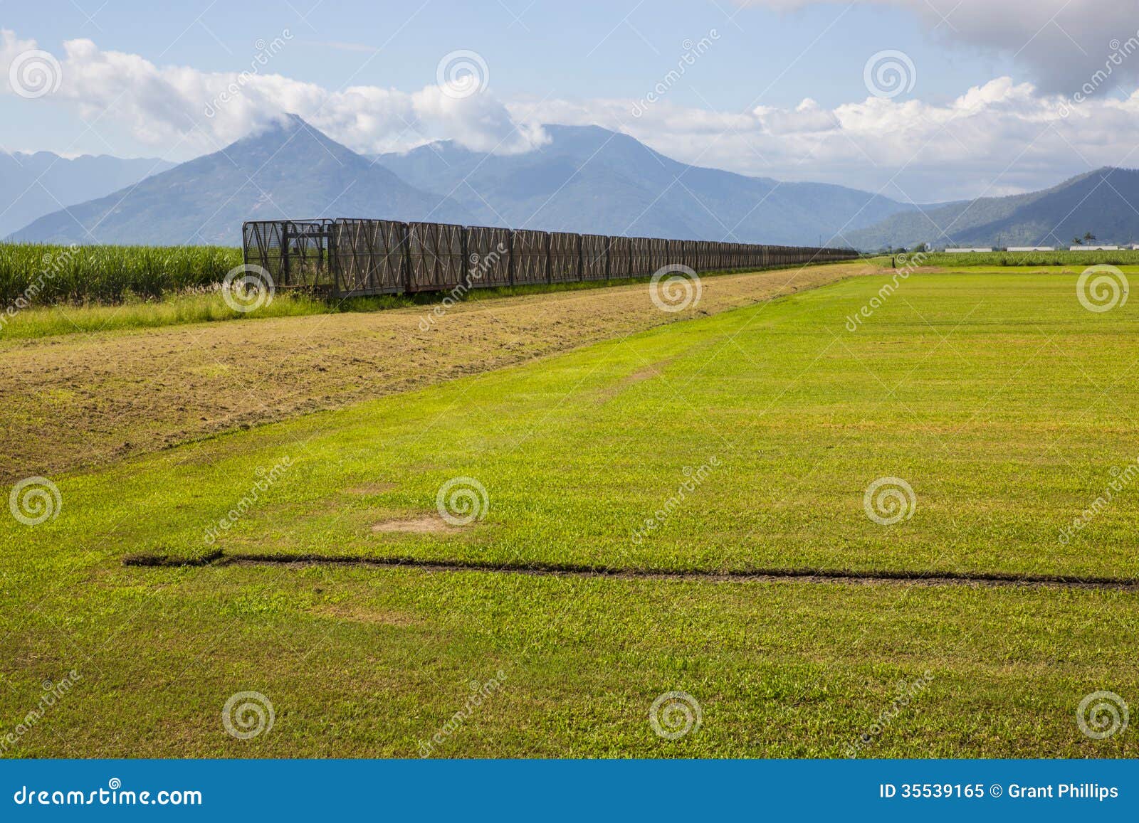 Sugarcane Field with Cane Train Stock Image - Image of bins, distant ...
