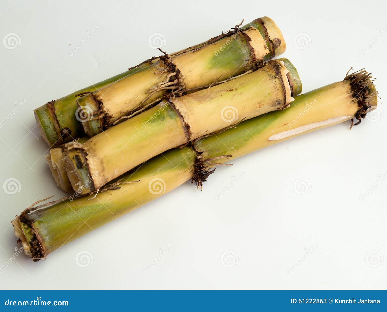 Sugarcane stock image. Image of produce, fresh, stem - 61222863