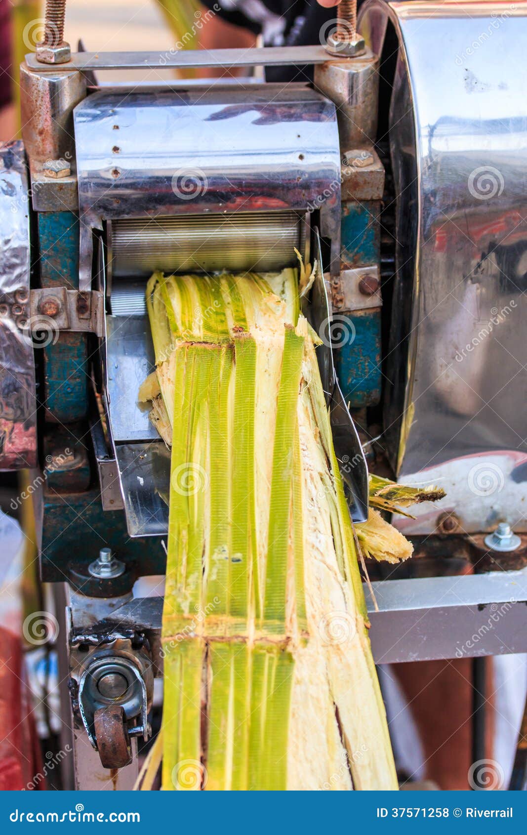 Sugarcane juice extraction stock photo. Image of food - 37571258