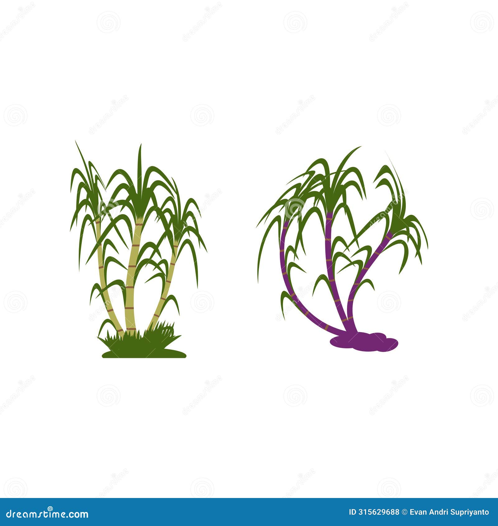 Sugarcane Logo Vector Template Symbol Design Stock Vector ...