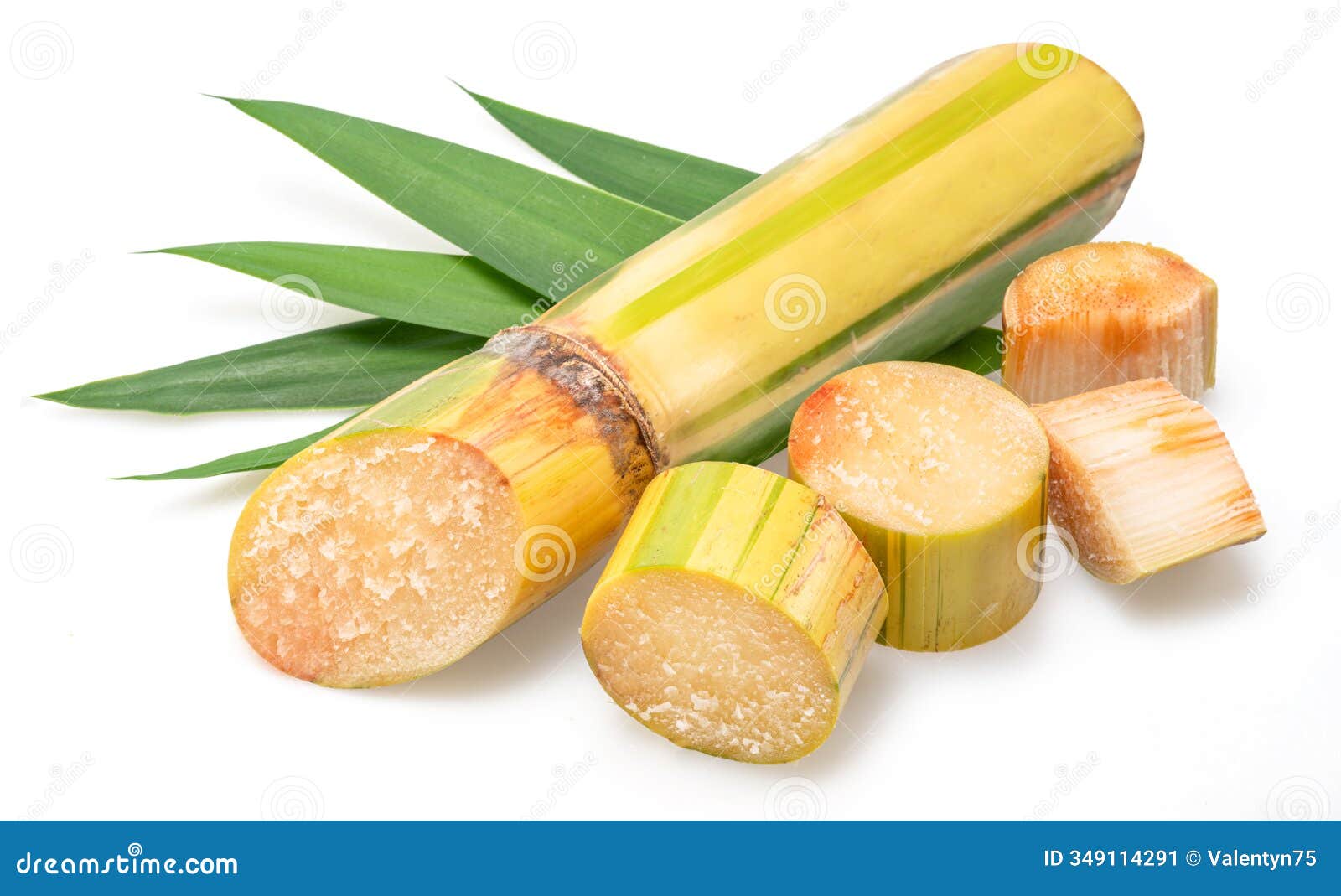Sugarcane Pieces and Sugar Cane Leaves Isolated on White Background ...