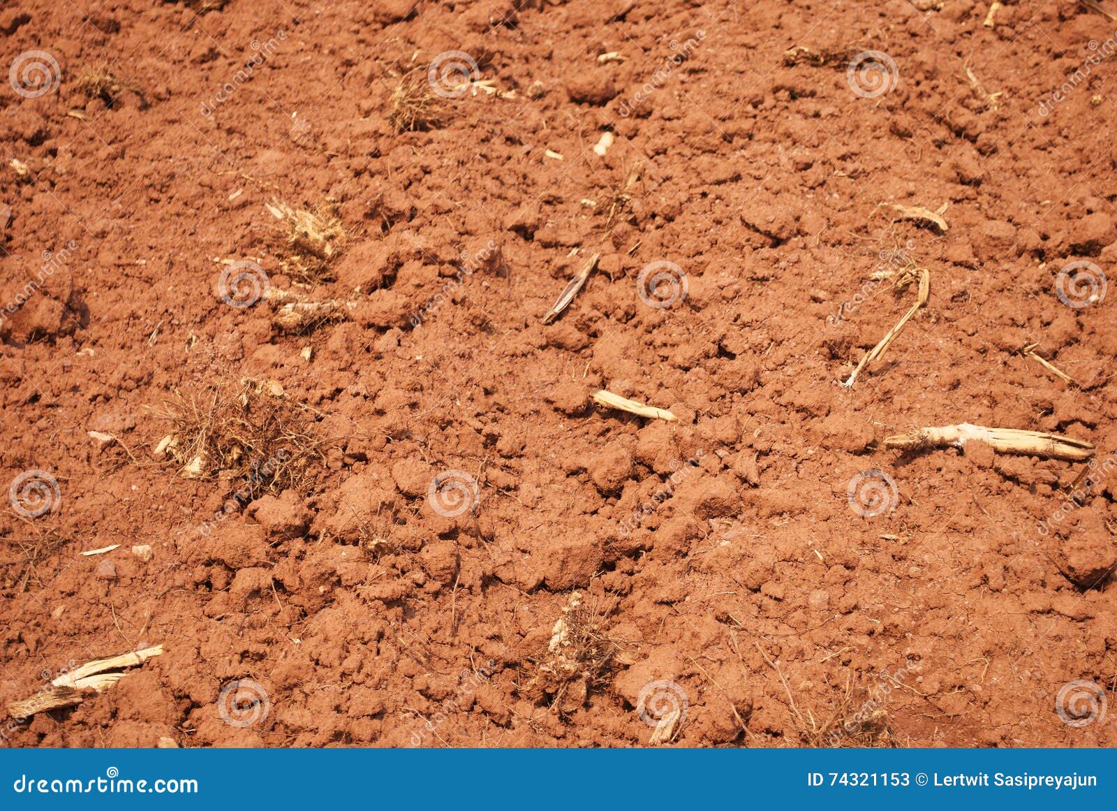 Preparation Of Sugarcane Planting Areas Royalty-Free Stock Image ...