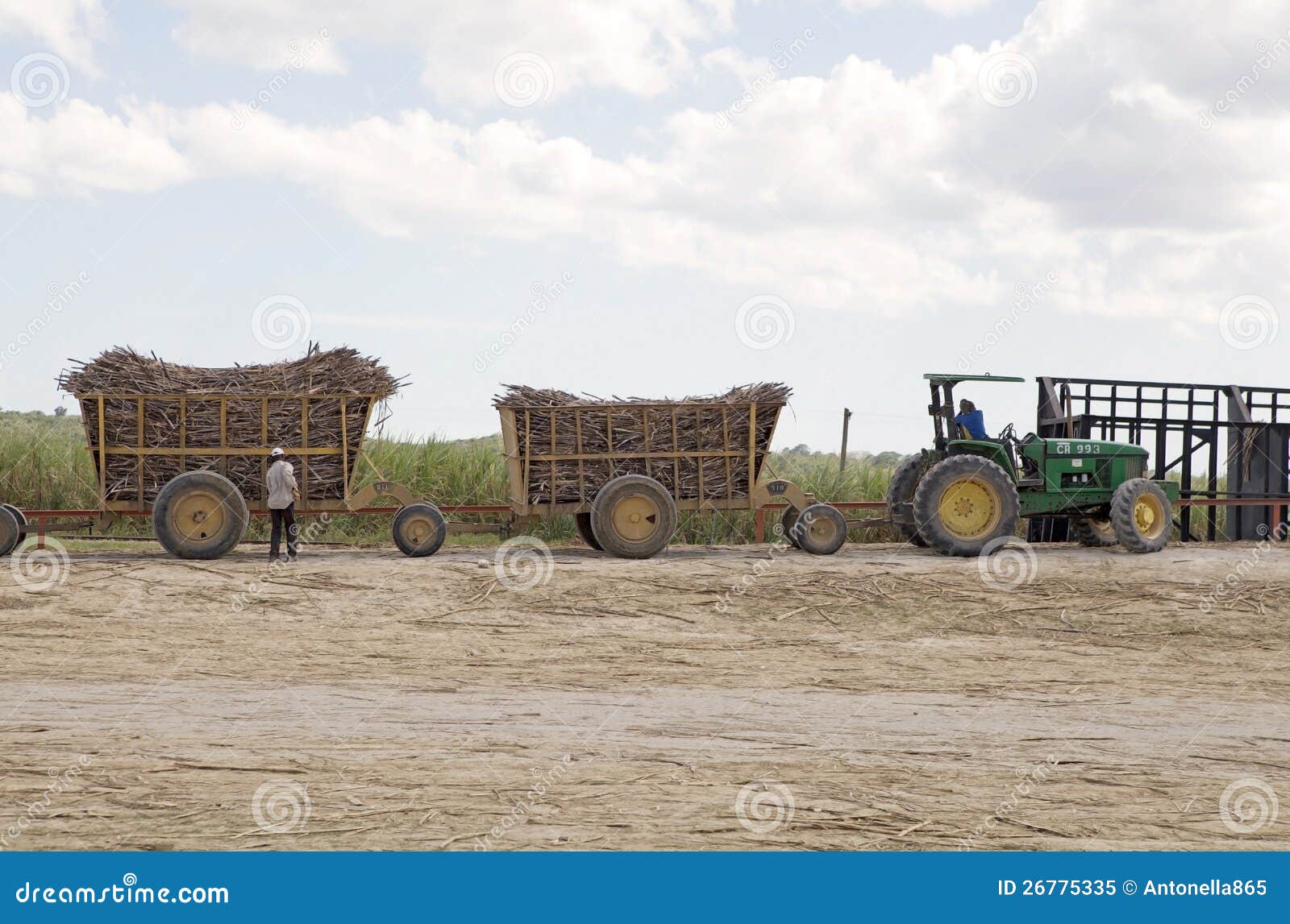 Sugarcane transportation editorial image. Image of outdoor - 26775335