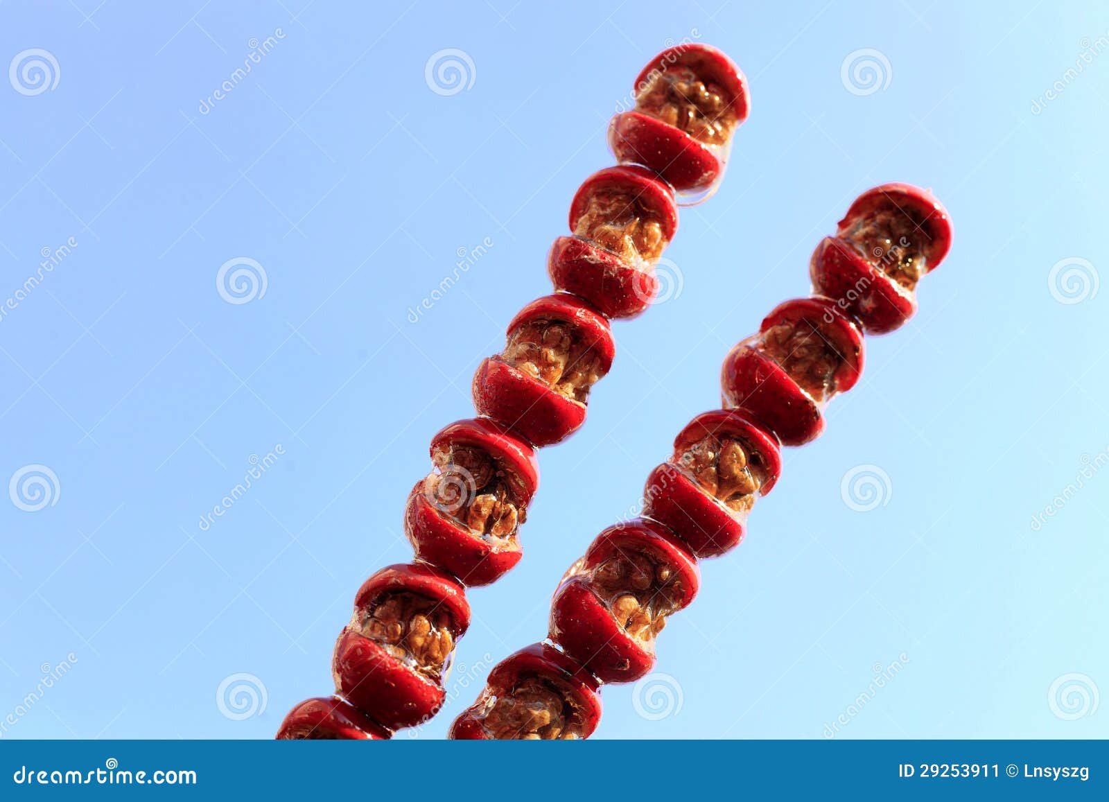 Sugarcoated Haws on a Stick Stock Image - Image of haws, hawthorn: 29253911