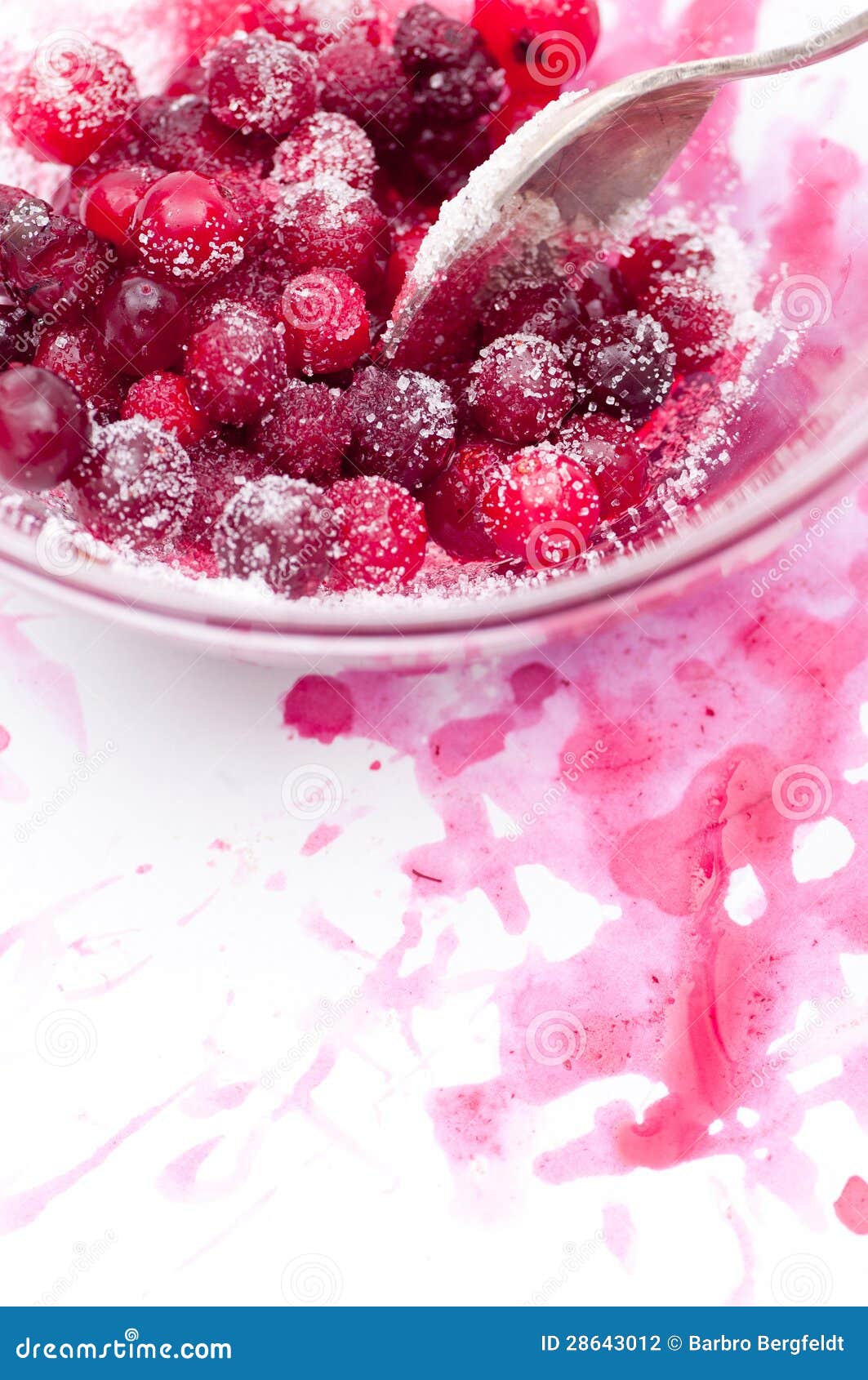 Sugared Cranberries stock photo. Image of food, copy - 28643012