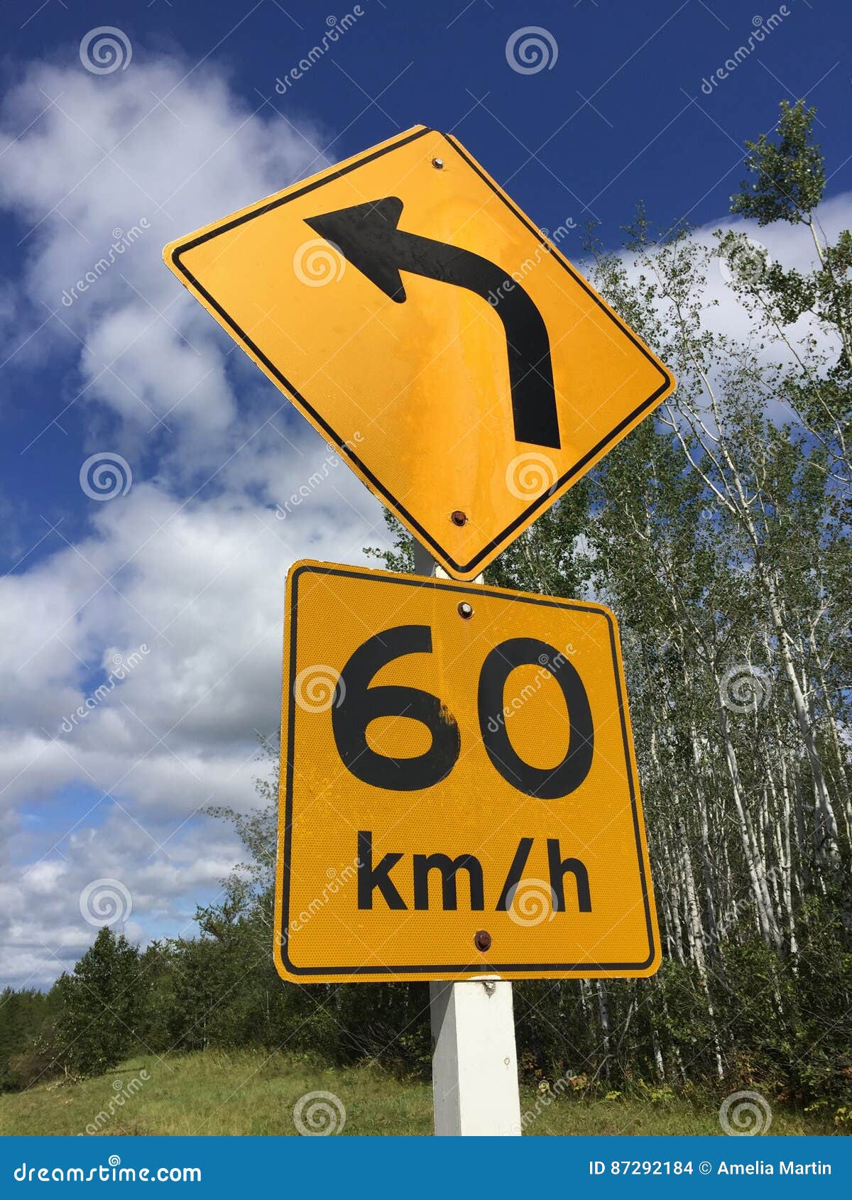 Dog With Sign Around Neck Stock Image | CartoonDealer.com #77970463