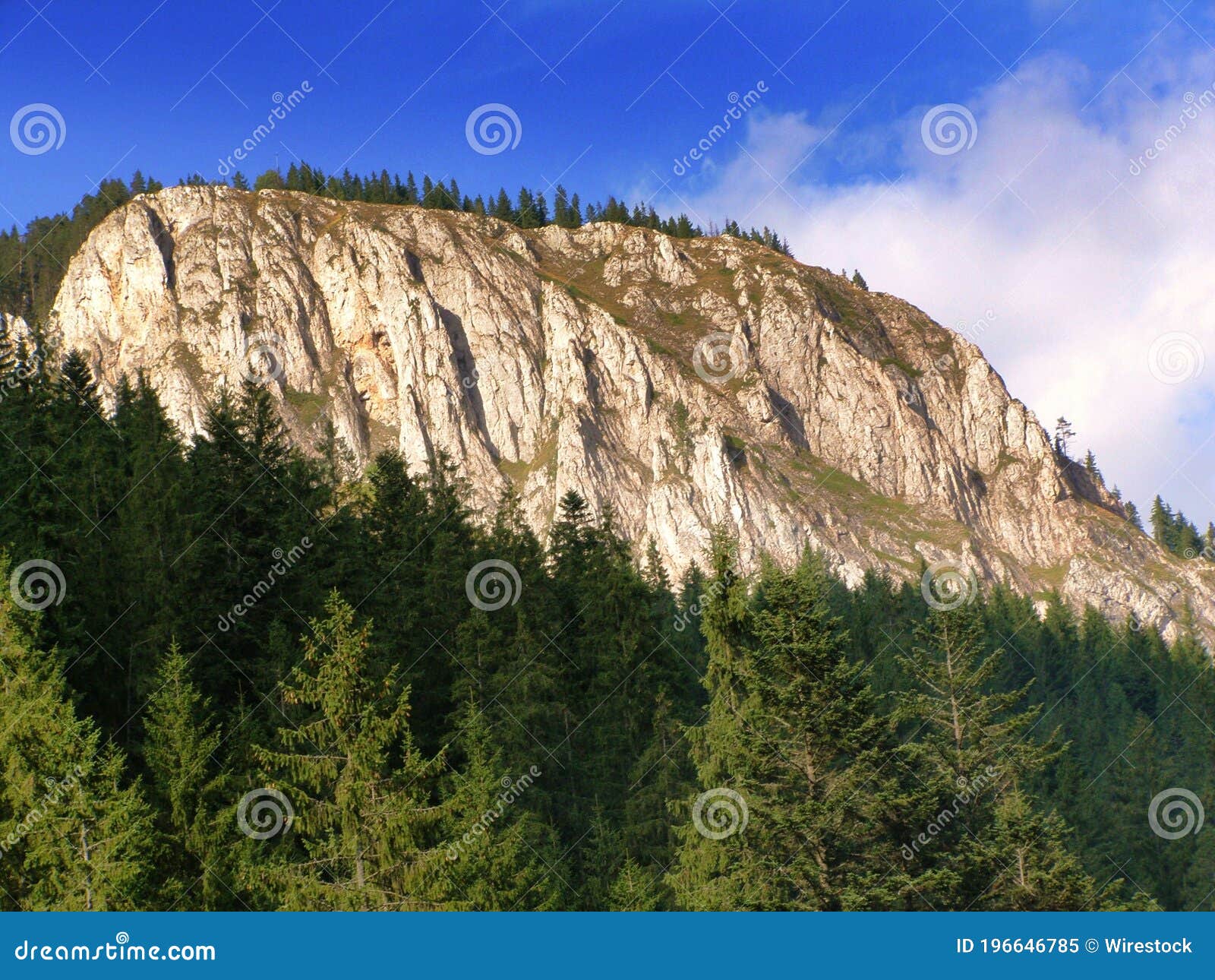 Suhardul Mic Peak in the Hamas Mountains in Romania Stock Image - Image ...