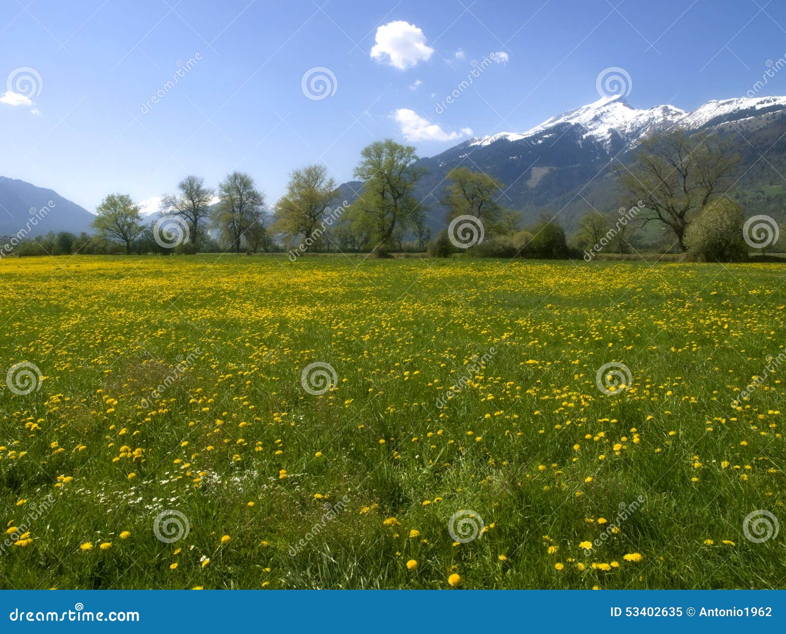 Suiss Traditional Spring Landscape Stock Image - Image of grass, green ...