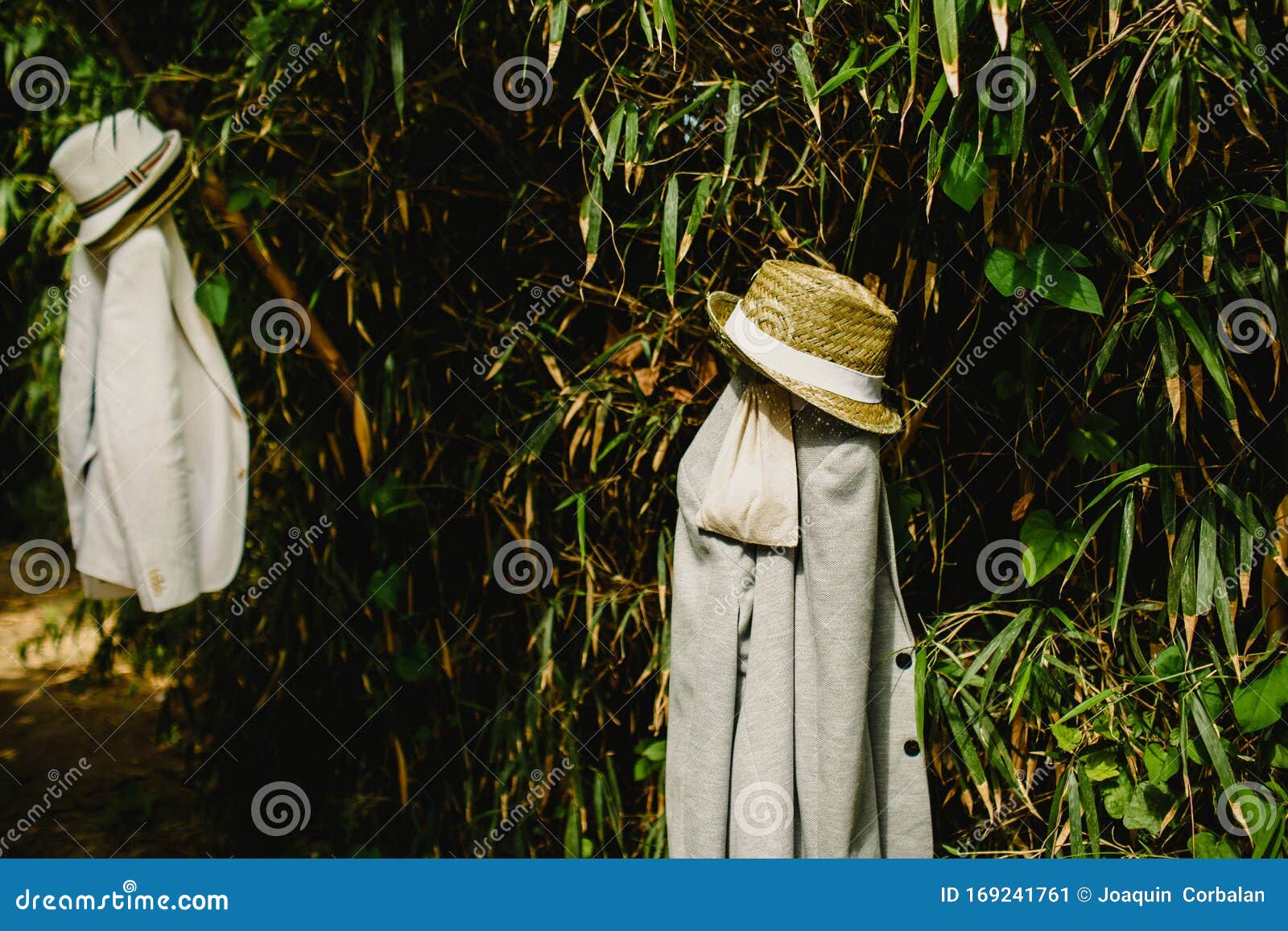Suit and Hat of Man Hanging from a Tree during a Summer Event Stock ...