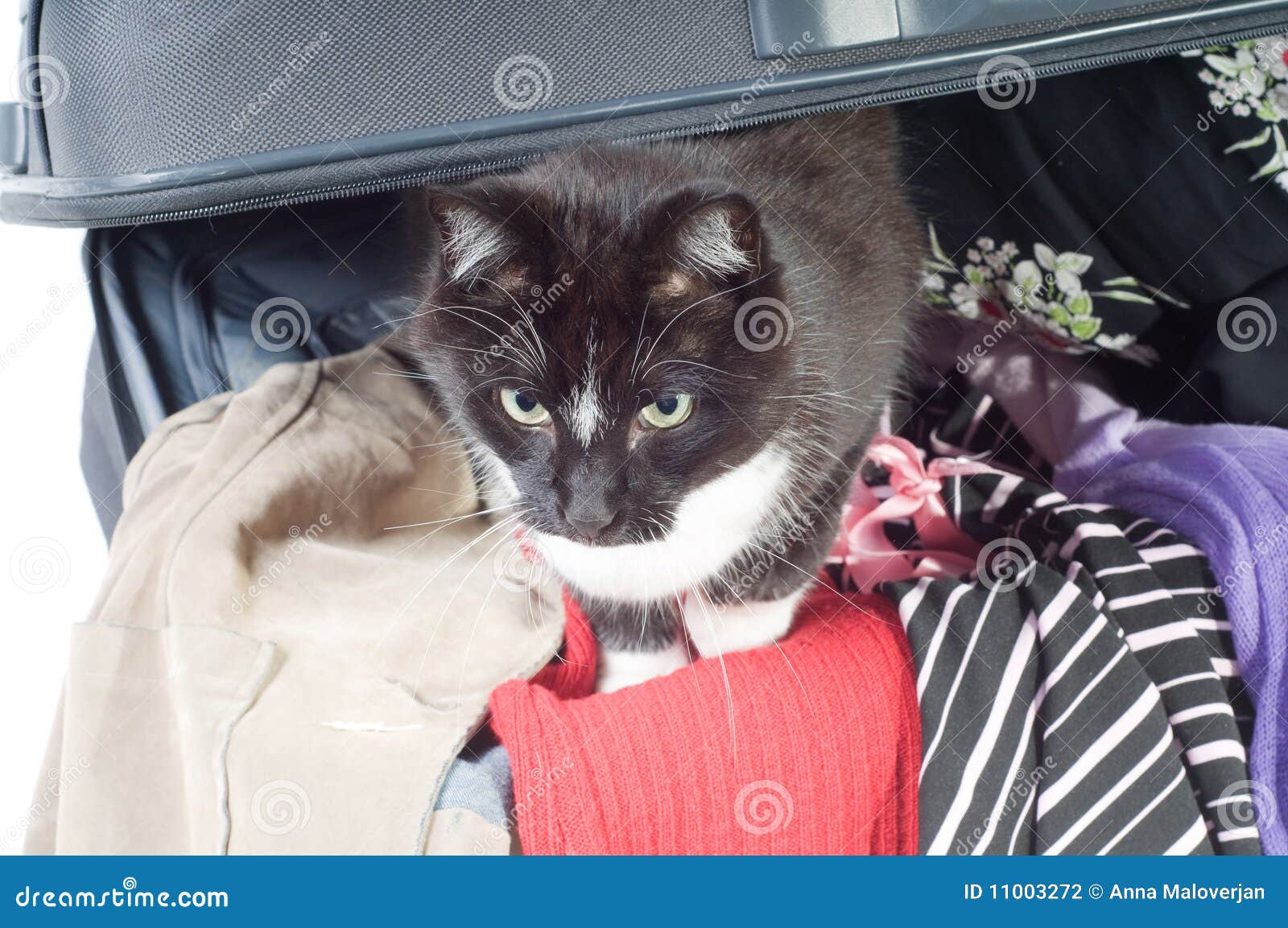 Suitcase stock photo. Image of texture, textile, wear - 11003272