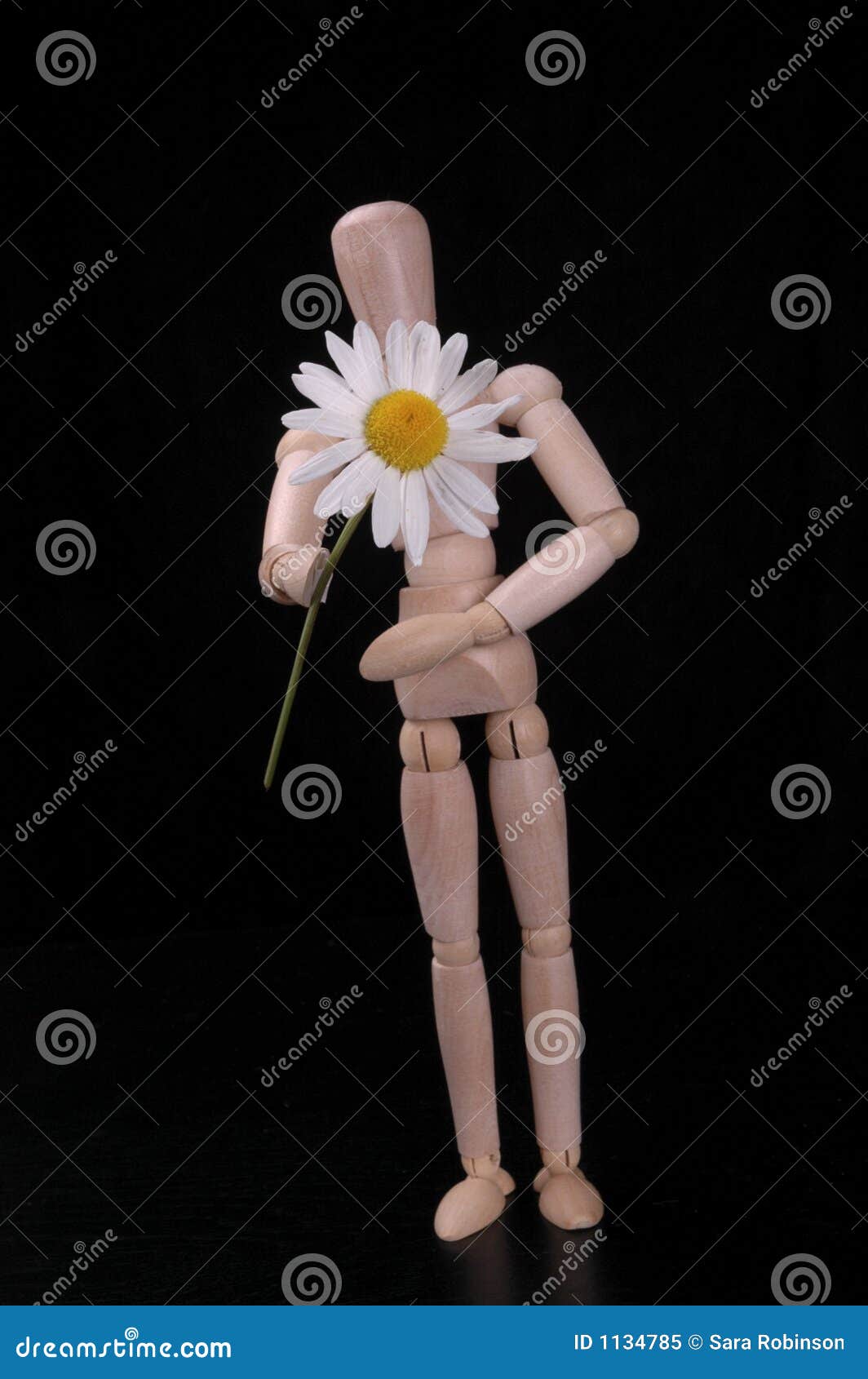 Suitor stock image. Image of romance, wooing, love, giving - 1134785