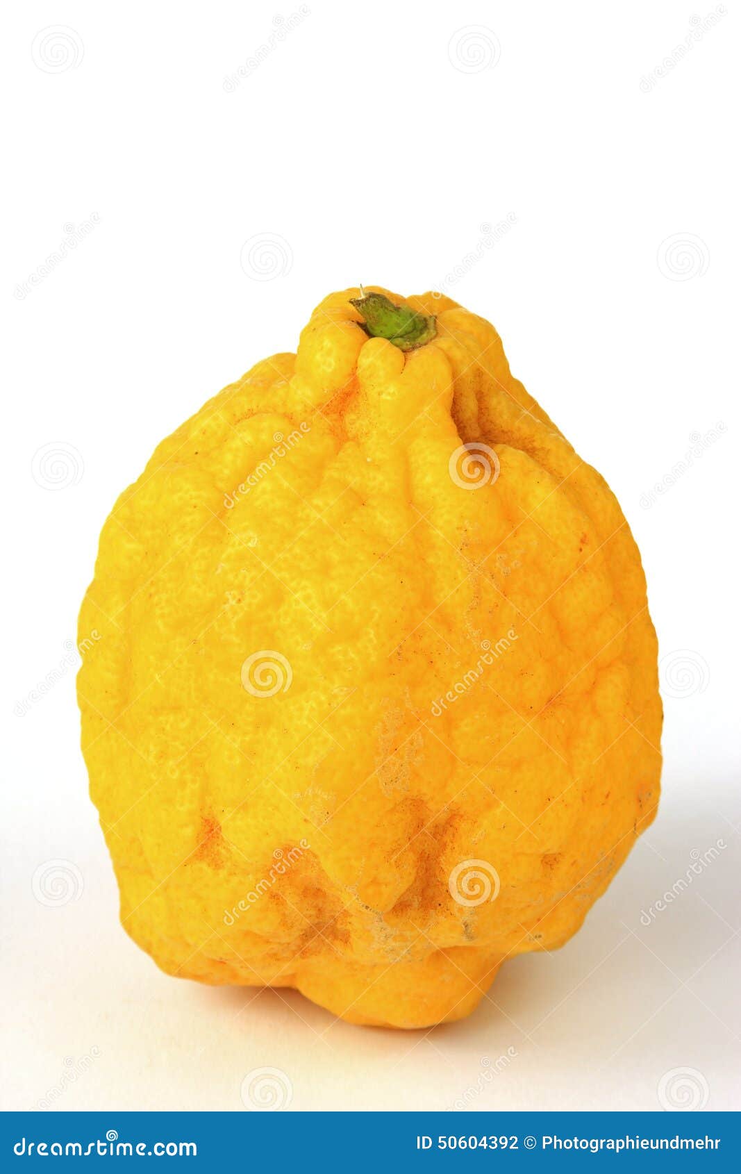 Sukade (Citrusvruchtenmedica) Stock Foto - Image of geïsoleerd ...