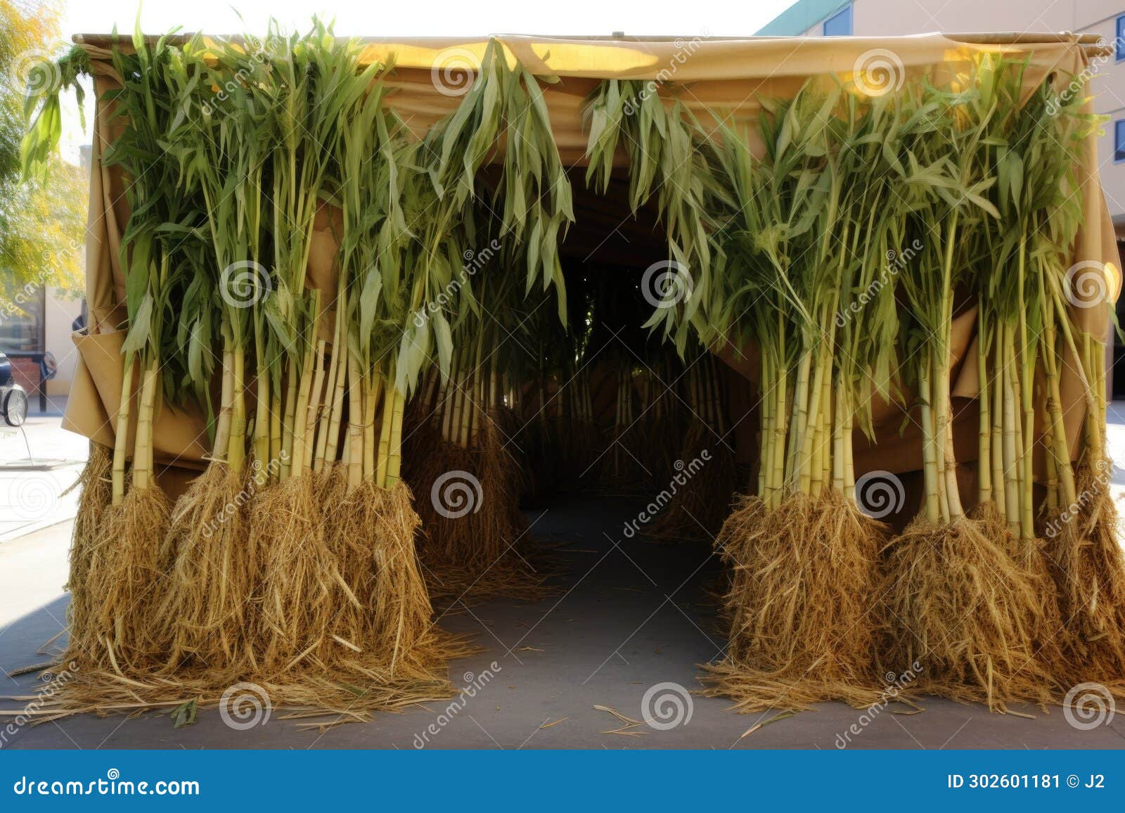 A Sukkah on Sukkot Feast of Tabernacles Jewish Holiday Stock Image ... A Sukkah on Sukkot Feast of Tabernacles Jewish Holiday Stock Image ...
