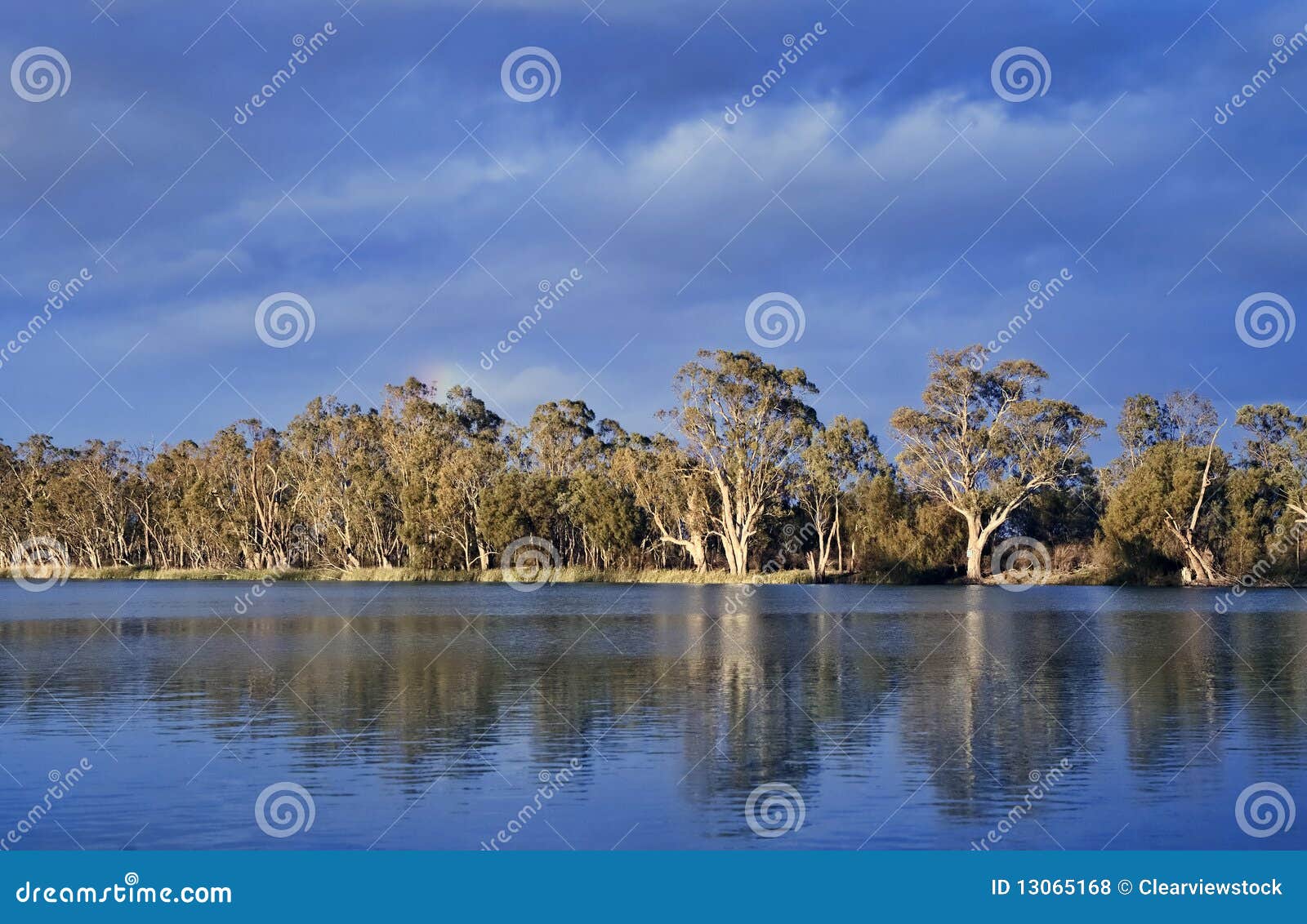 Sul Da Austrália De Murray Do Rio Foto de Stock - Imagem de nascente ...