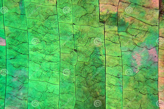 Sulfur Crystals Under the Microscope Stock Photo - Image of fantastic ...