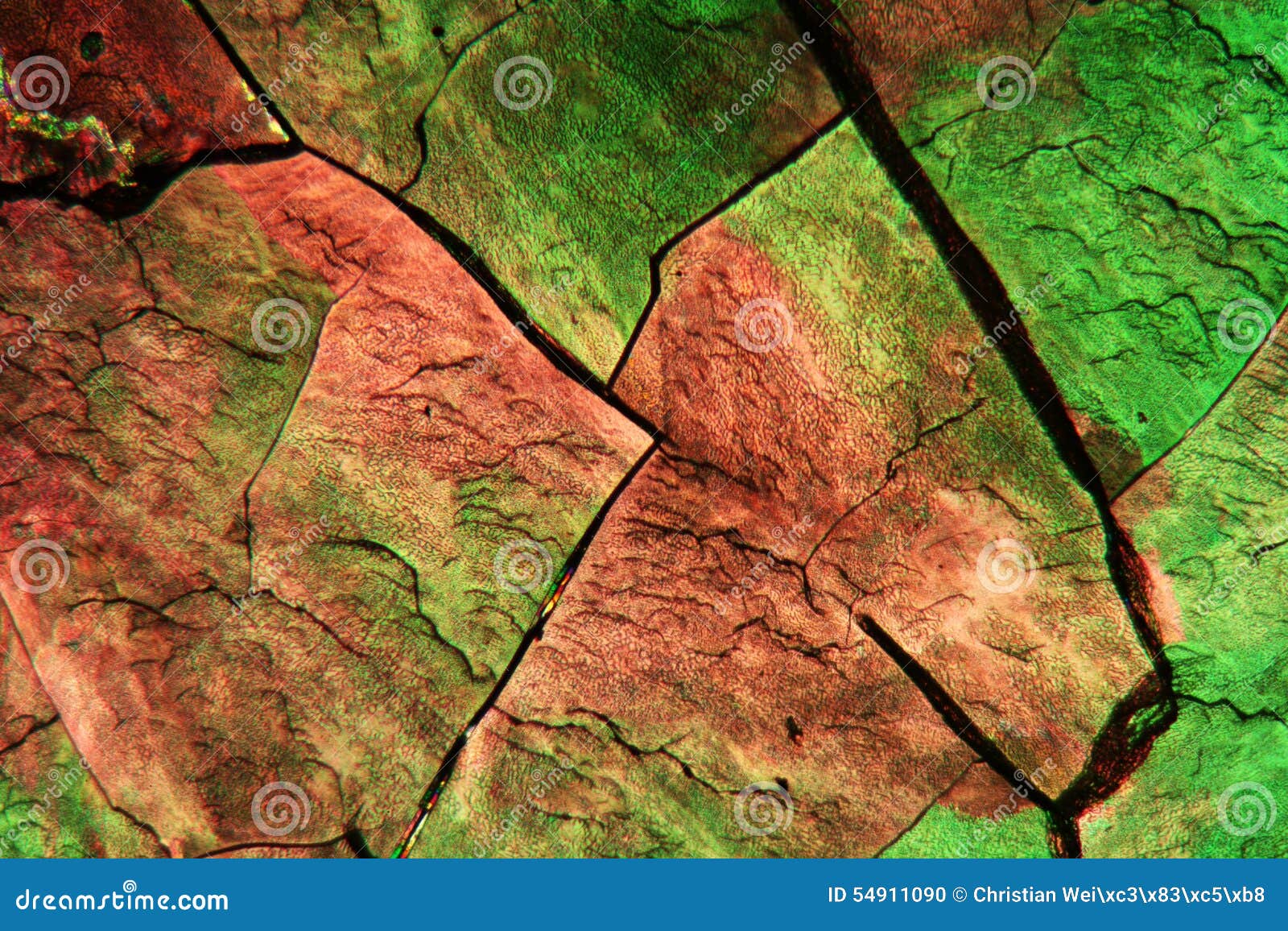 Sulfur Crystals Under the Microscope Stock Photo - Image of light ...