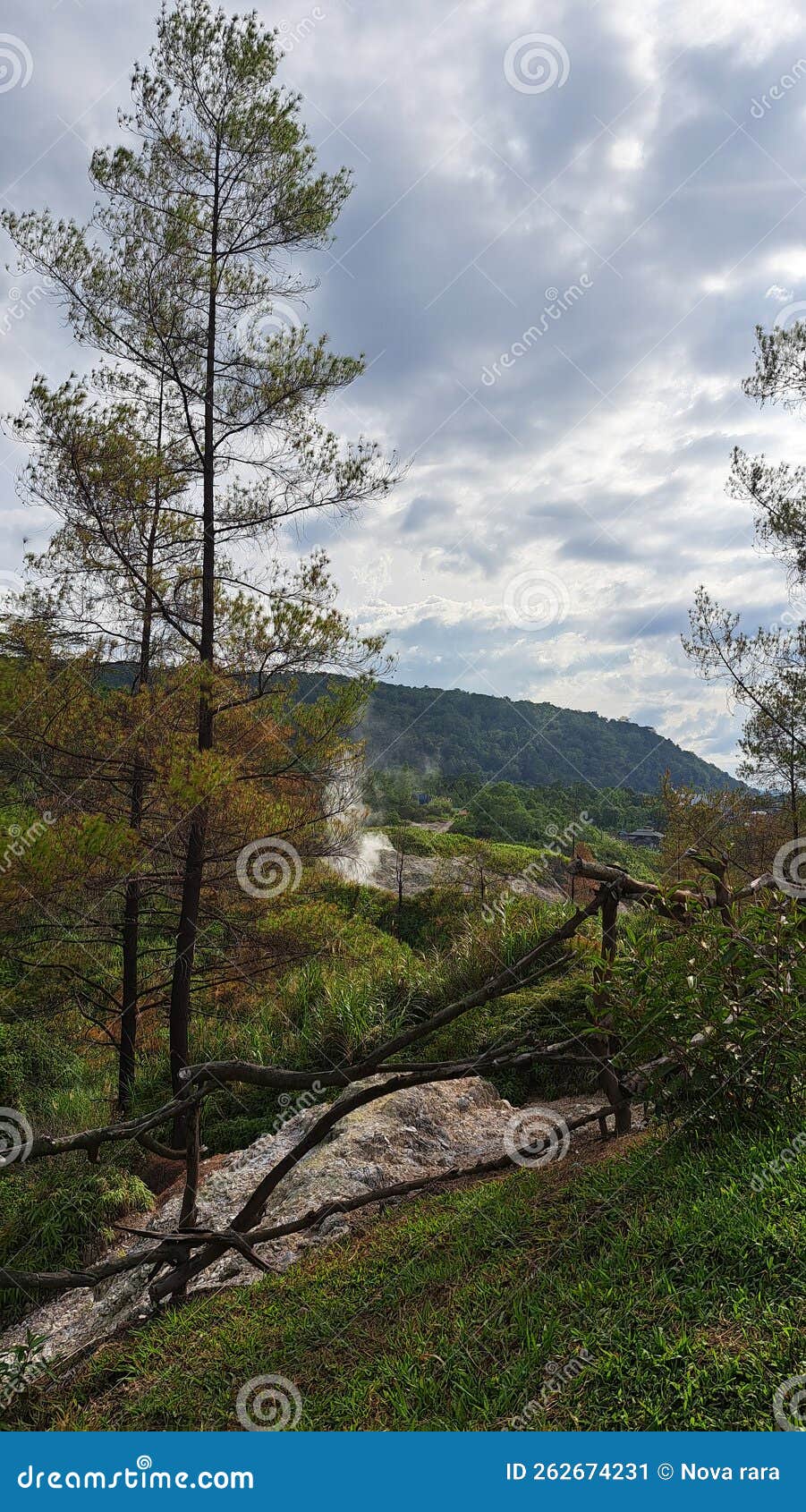 Sulfur hills and tree stock image. Image of rock, waterfall - 262674231