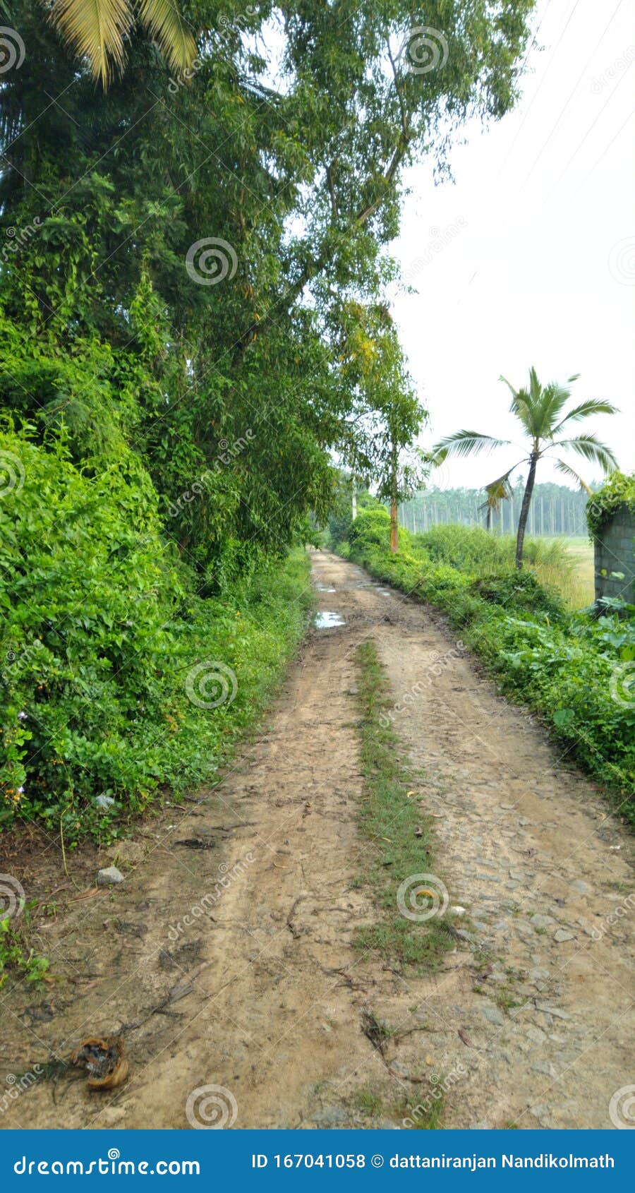 Sulking in green stock photo. Image of walkpath, trail - 167041058