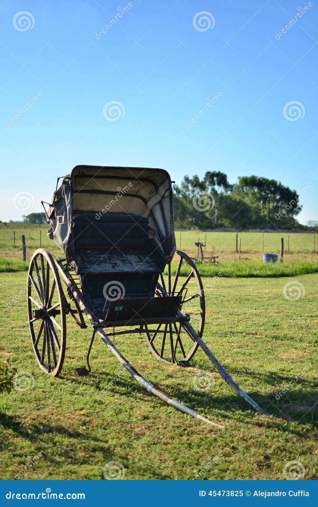 Sulky in field stock image. Image of sulky, argentina - 45473825