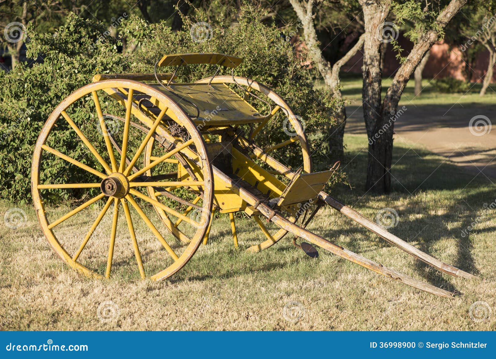 Sulky stock photo. Image of traditional, vehicle, country - 36998900