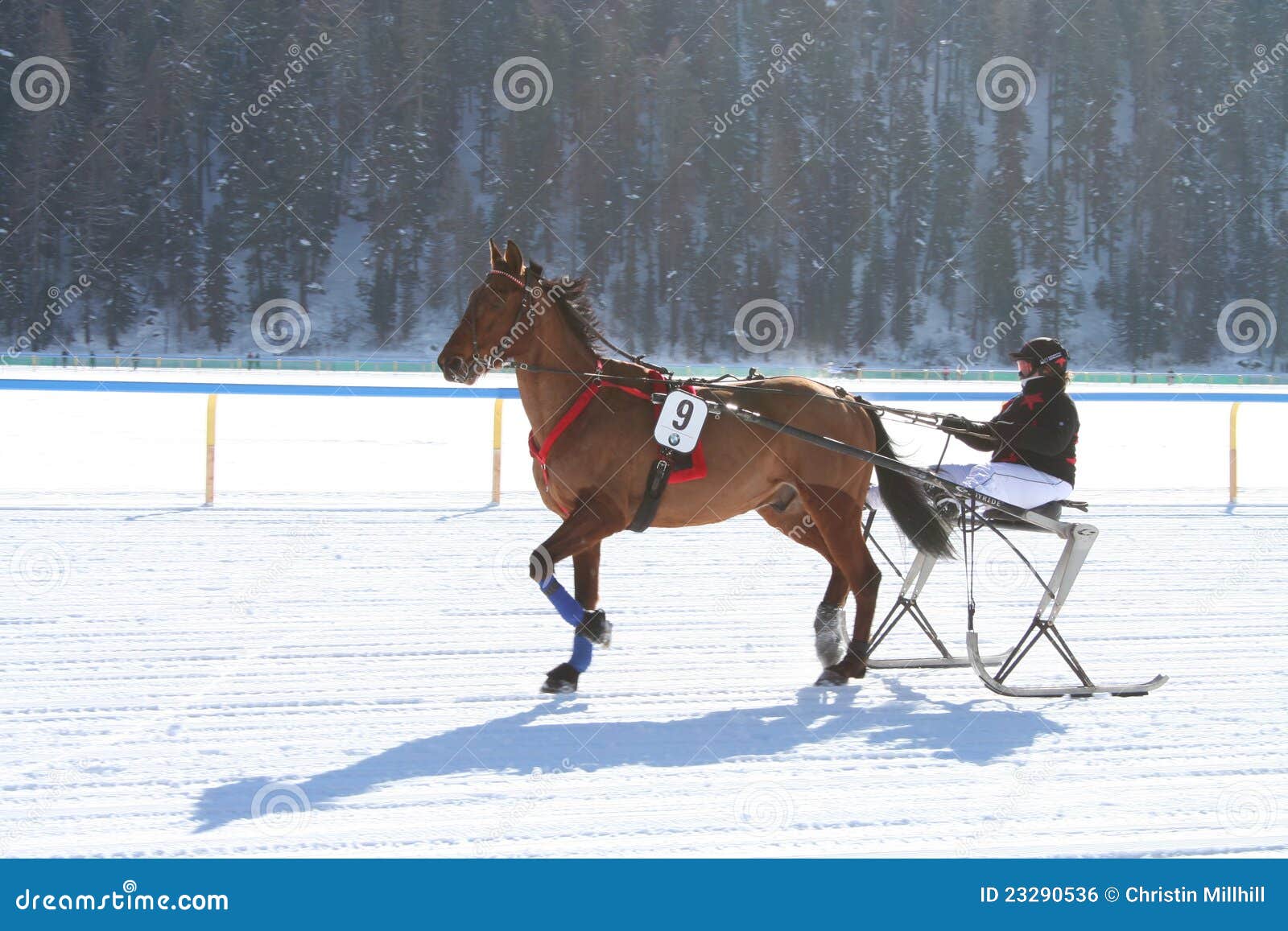 Sulky Race editorial photo. Image of brown, skids, luxurious - 23290536